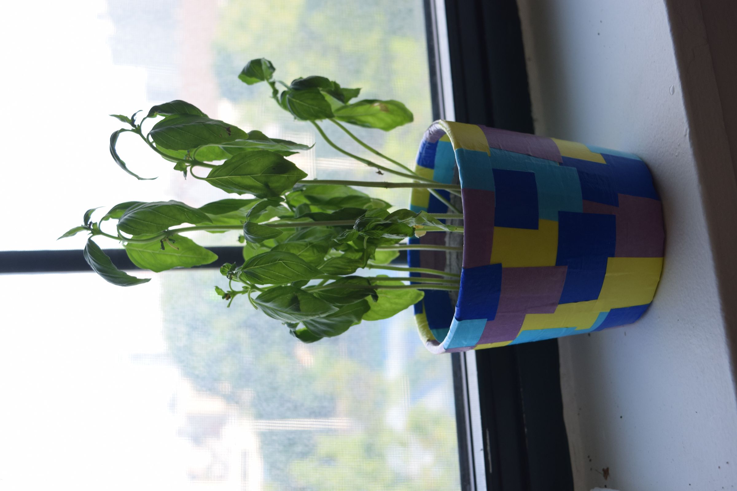 Customizable Plant Pot! : 4 Steps (with Pictures) - Instructables