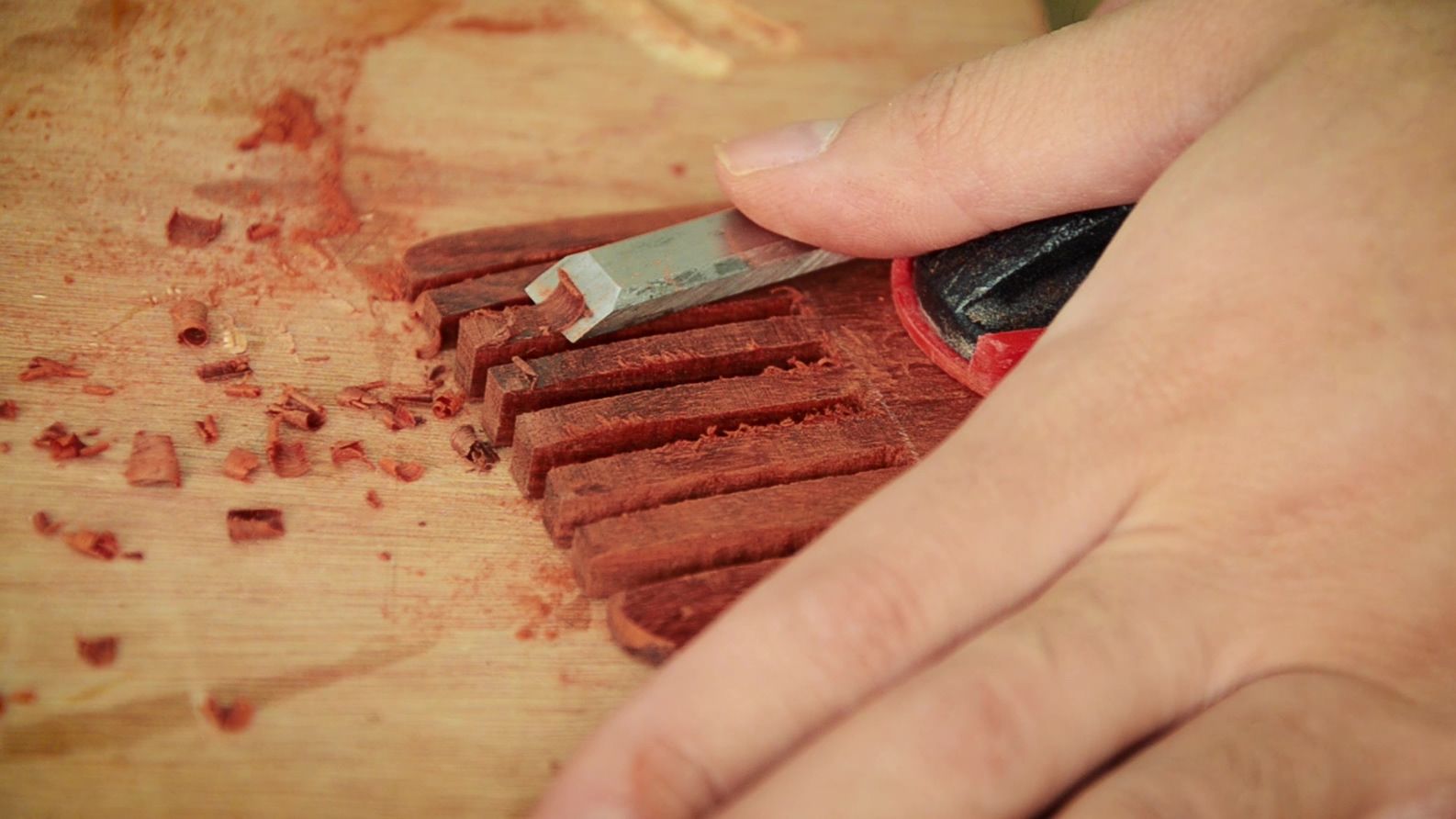 From Tree Bark to Comb : 5 Steps (with Pictures) - Instructables