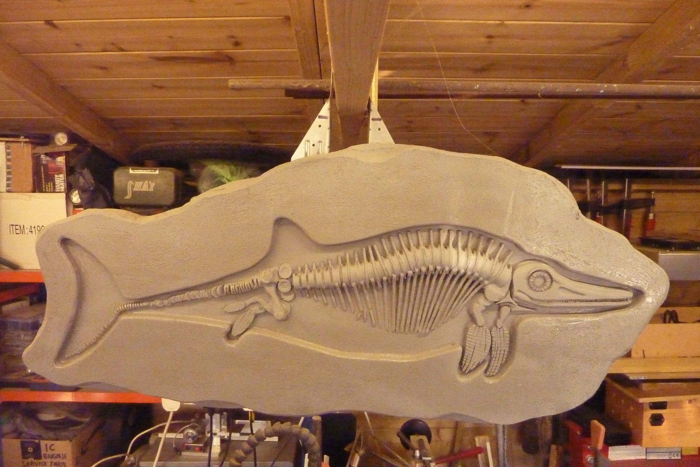 Ichthyosaur Fossil : 9 Steps (with Pictures) - Instructables