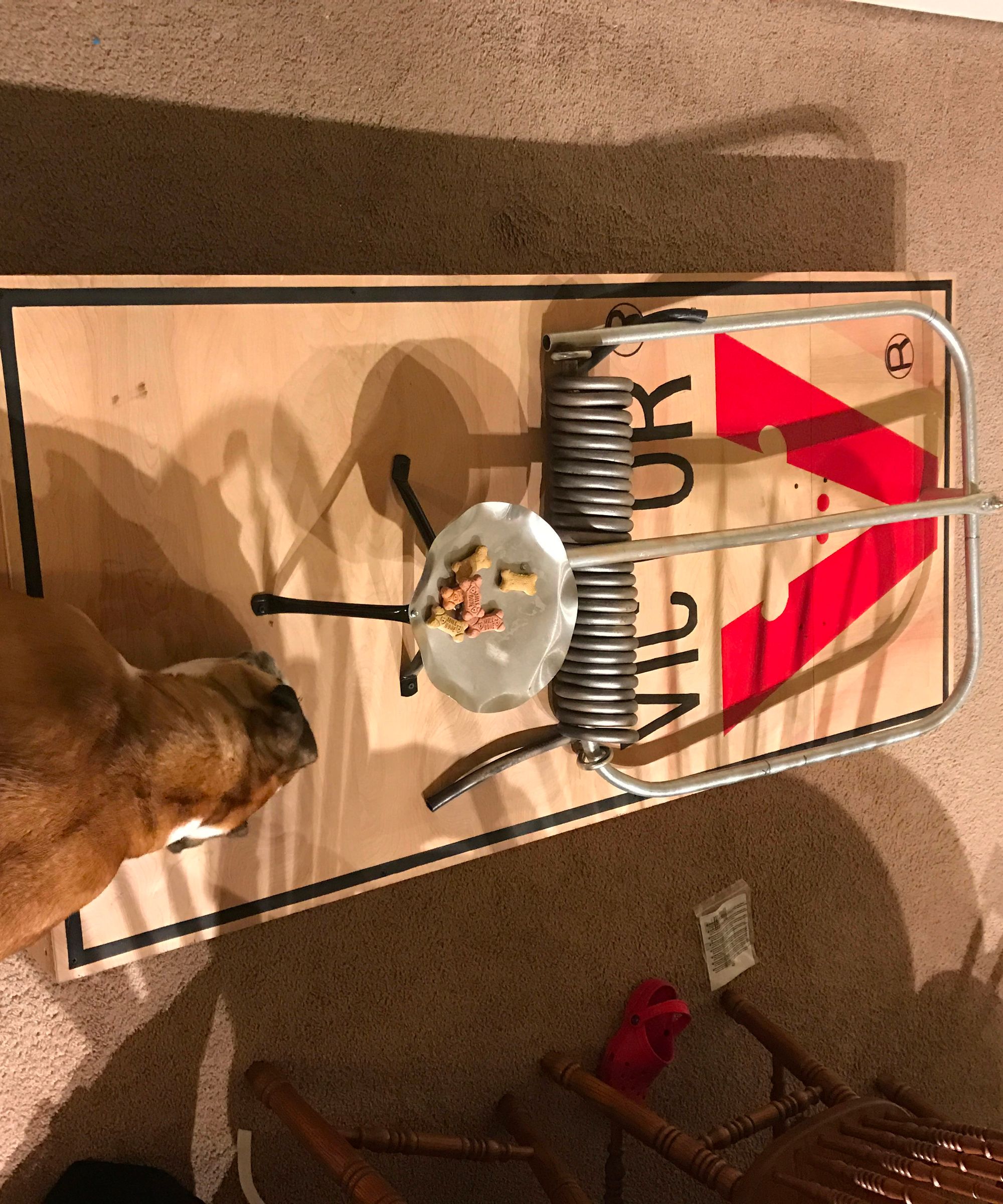 Giant Mousetrap : 9 Steps (with Pictures) - Instructables