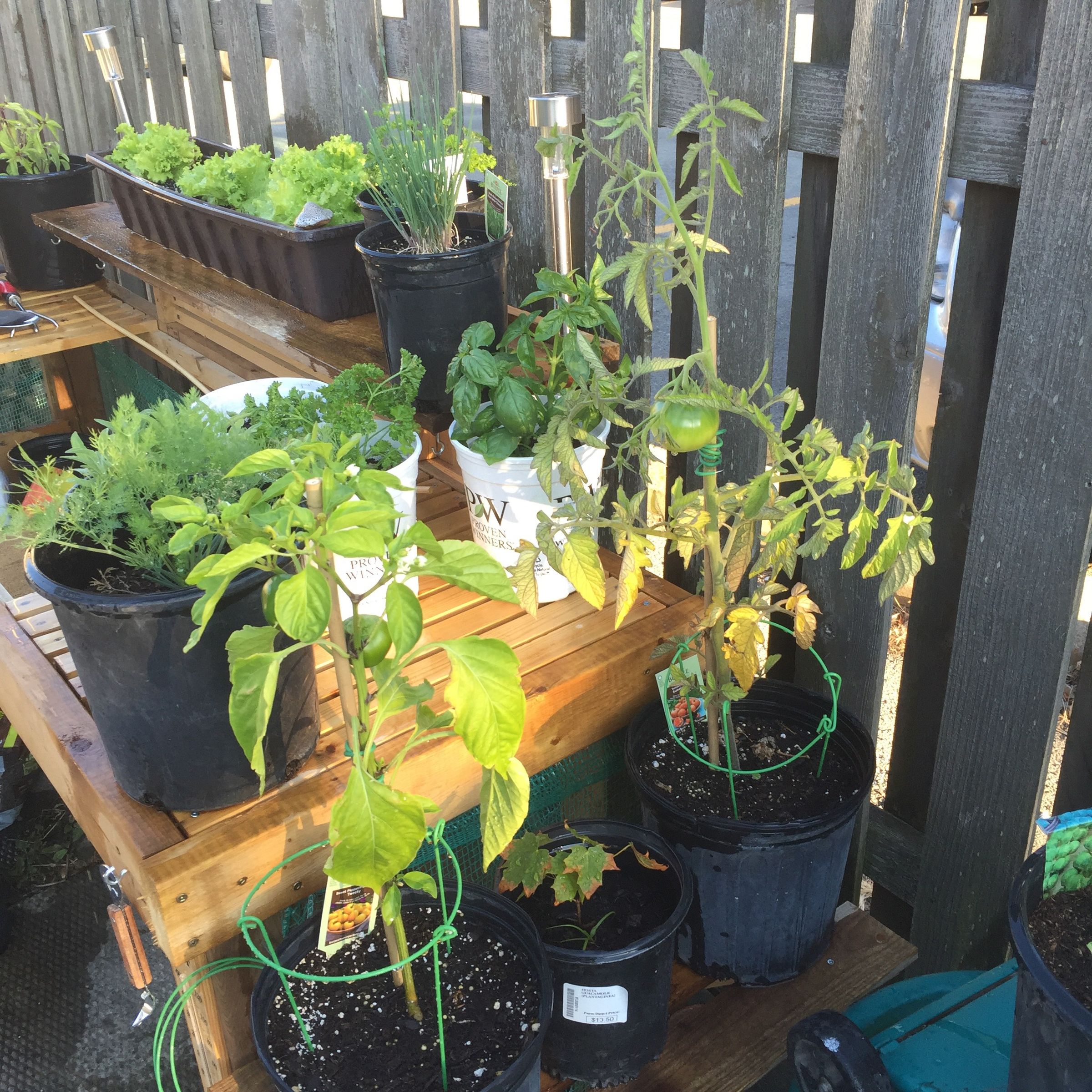 Planting Bench With Protected Growing Station : 3 Steps (with Pictures ...