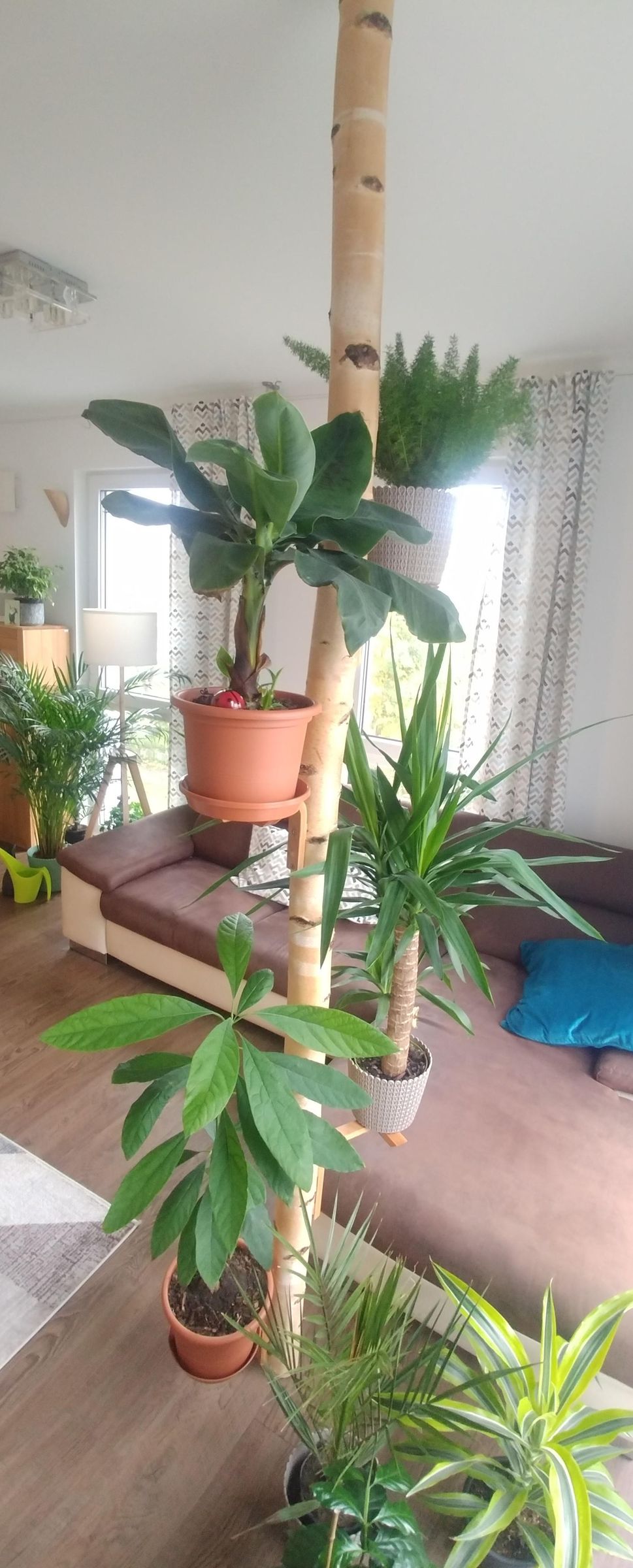 Birch Tree Stand : 4 Steps (with Pictures) - Instructables