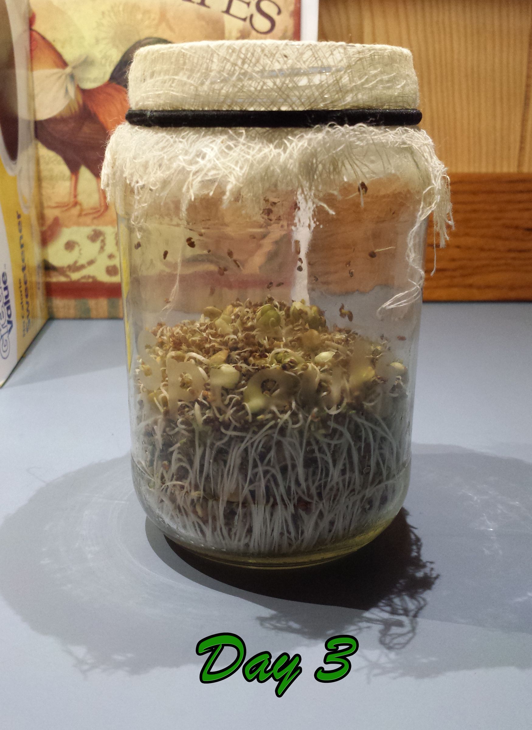 How to Grow Sprouts in a Glass Jar : 3 Steps (with Pictures ...