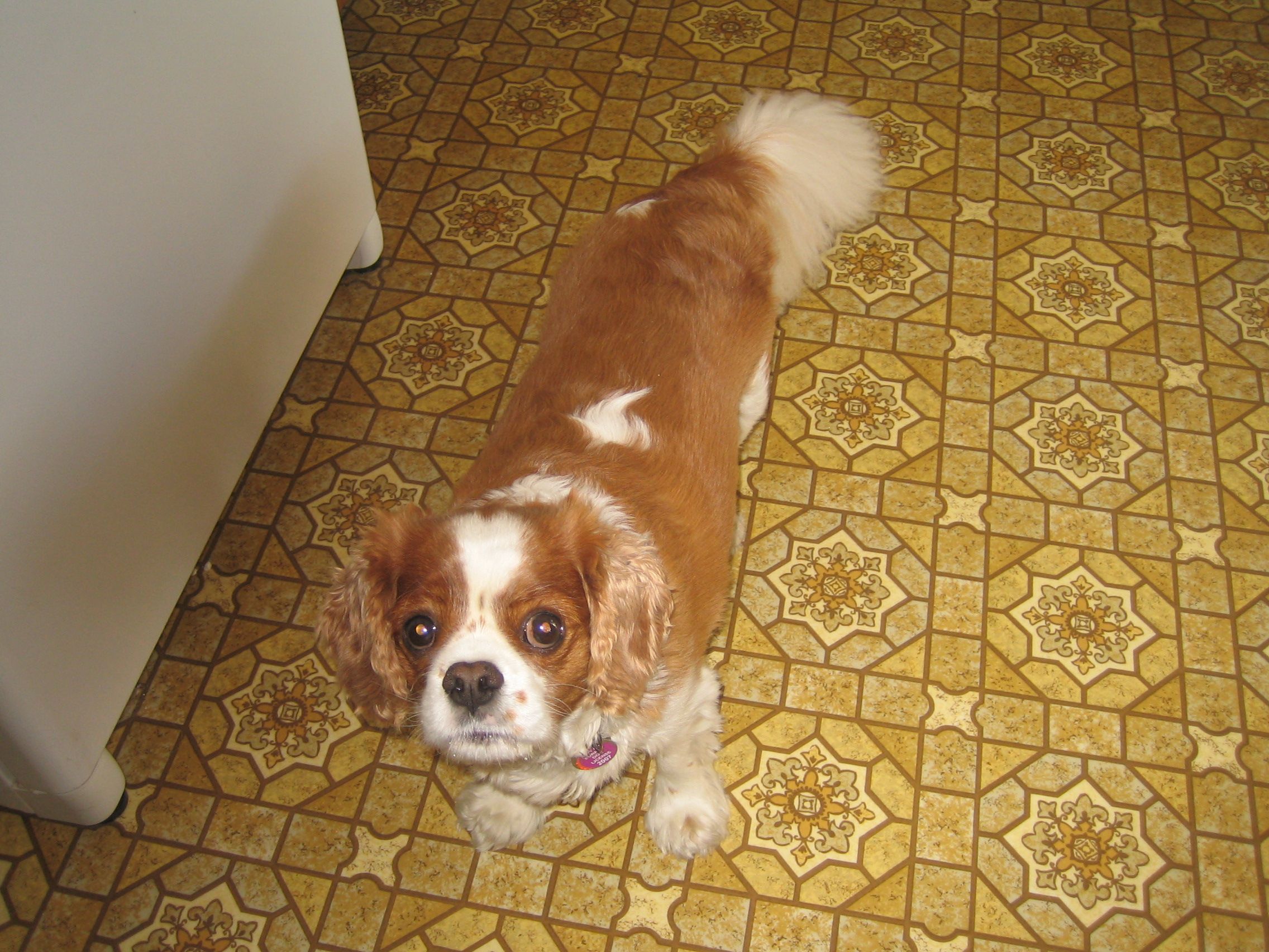 Cork Rocket : 3 Steps - Instructables