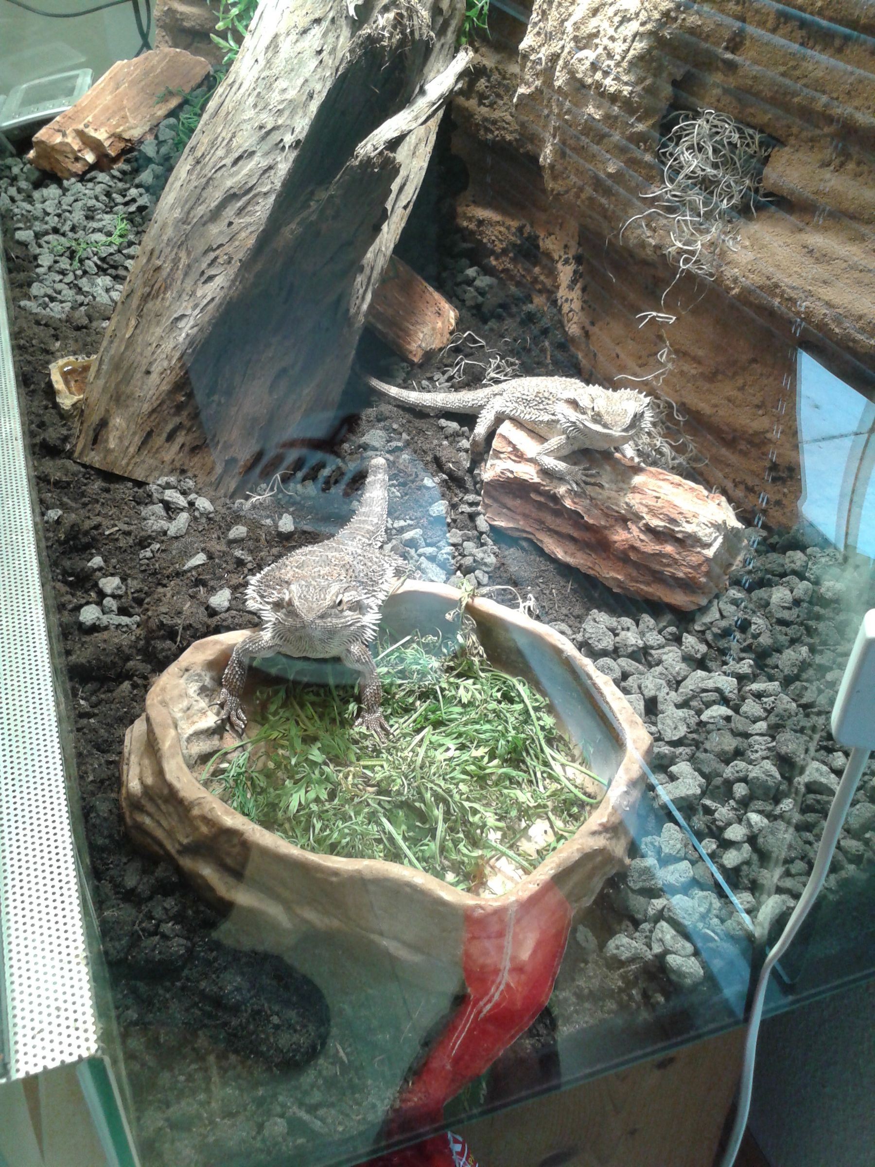 Arduino LCD Thermometer / Temperature Control With TMP36GZ Temp Sensor ...