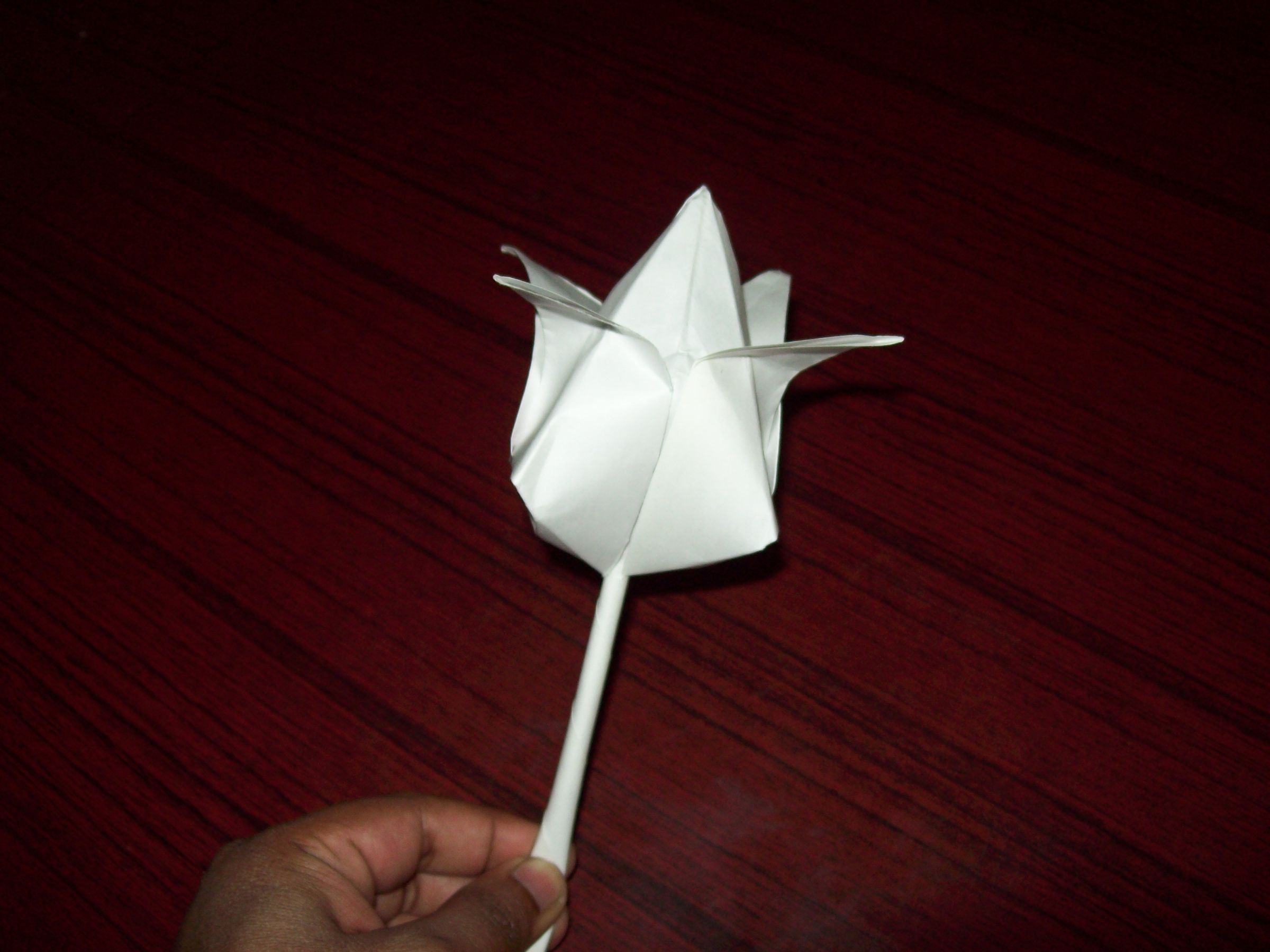 Origami Tulip (Easy) : 16 Steps - Instructables