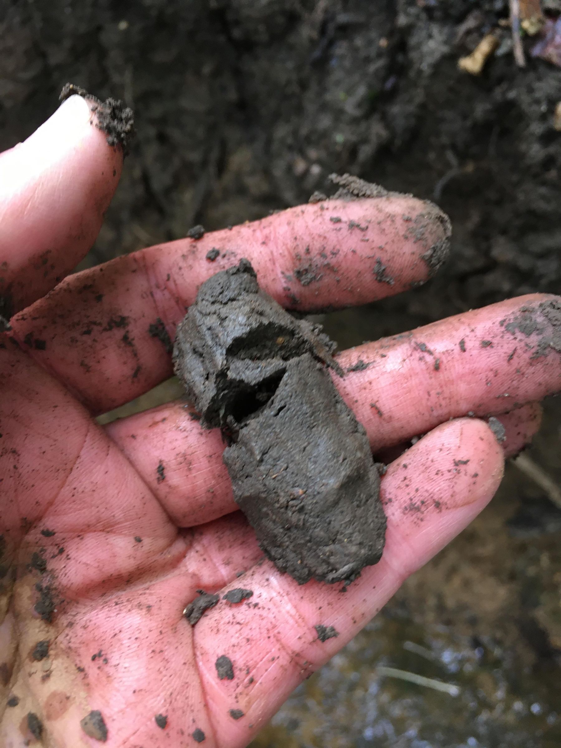 The River Clay Project - From Riverbed to Dining Table : 36 Steps (with ...