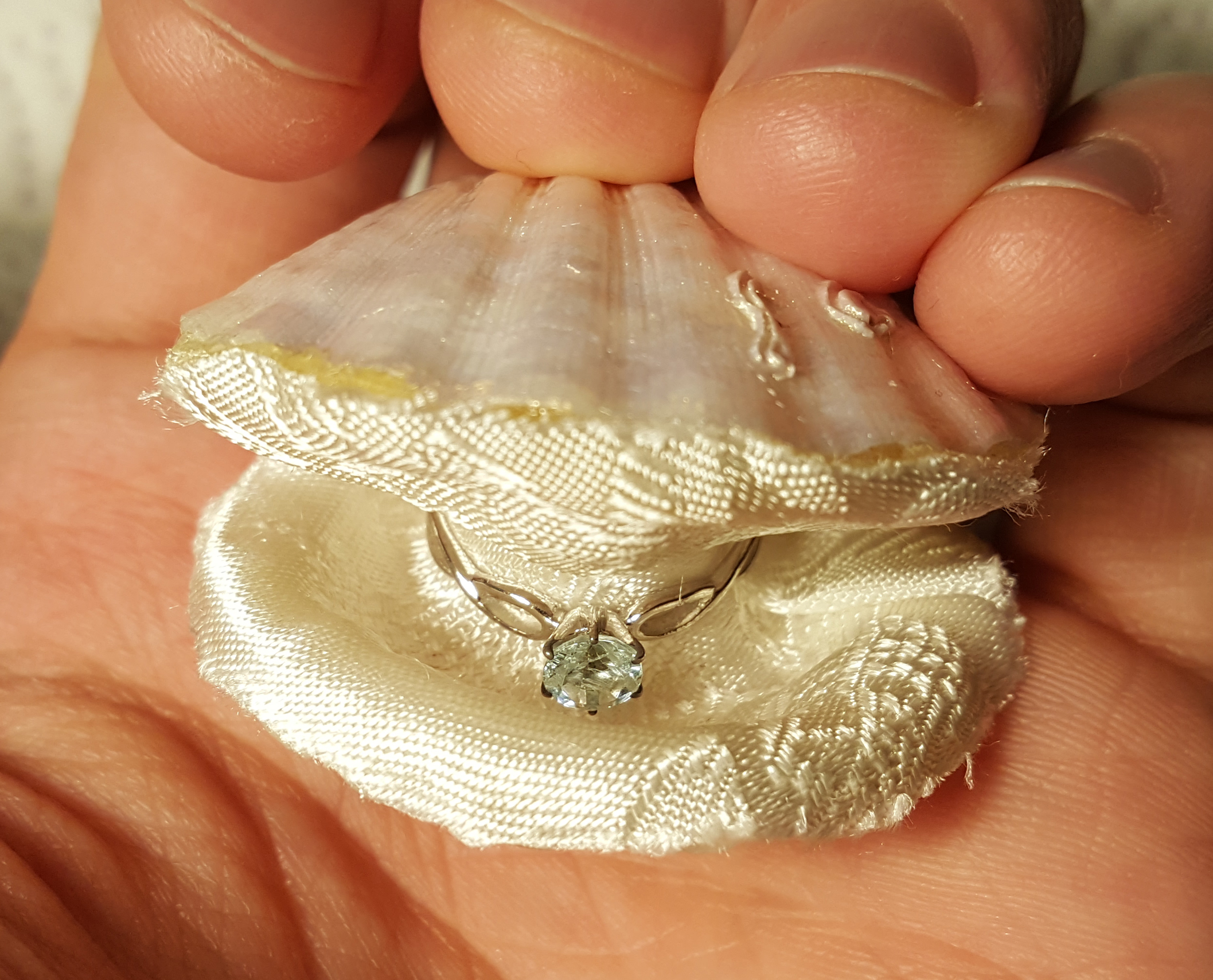 LED-illuminated Seashell Engagement Ring Box : 9 Steps (with Pictures) - Instructables