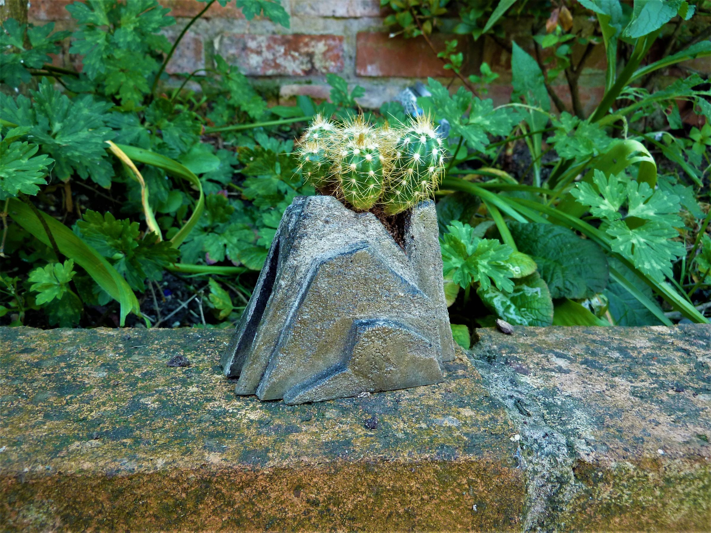 Concrete Low Poly Mountain Planter : 4 Steps (with Pictures ...