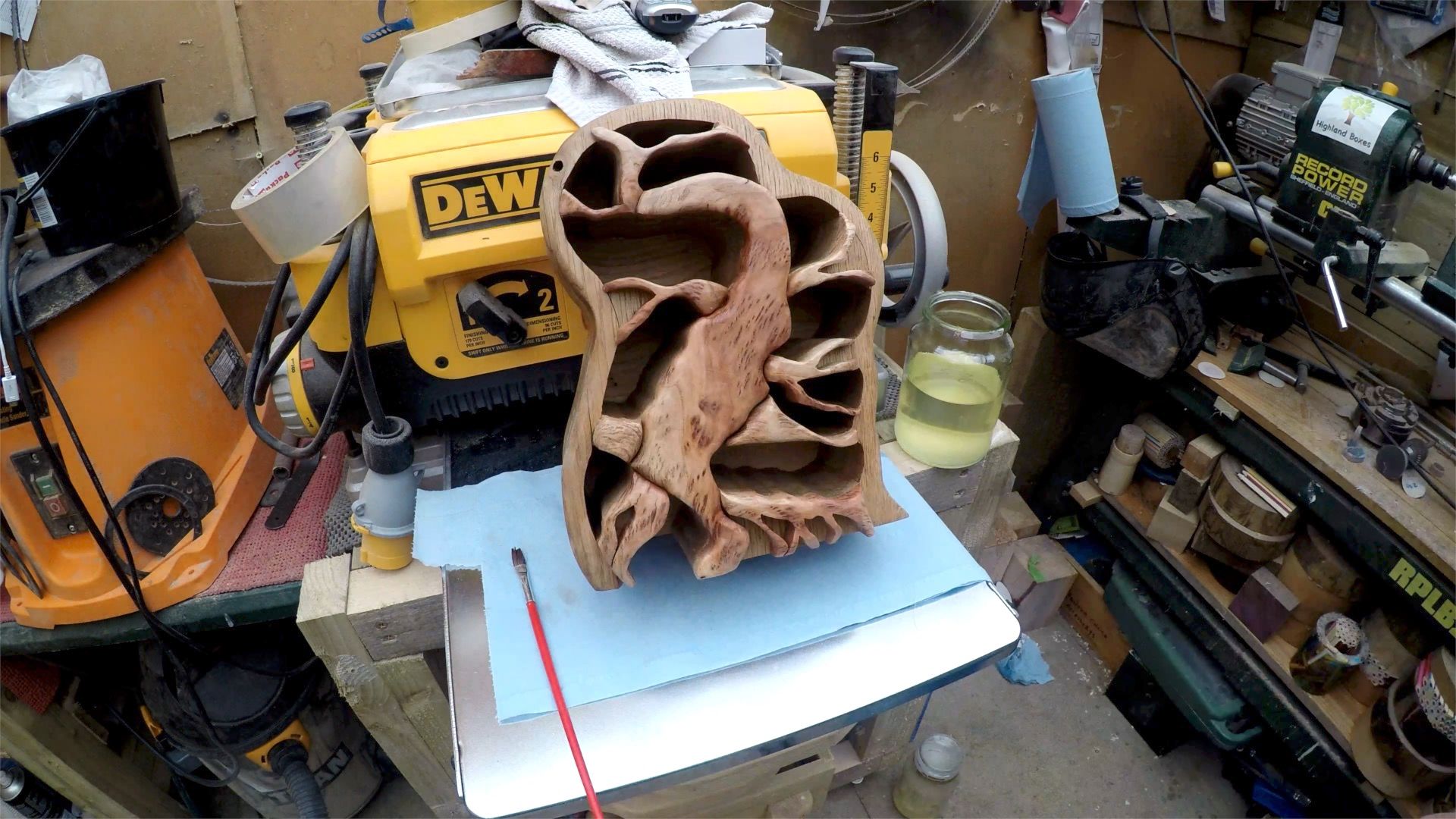 Tree Bandsaw Box : 12 Steps (with Pictures) - Instructables