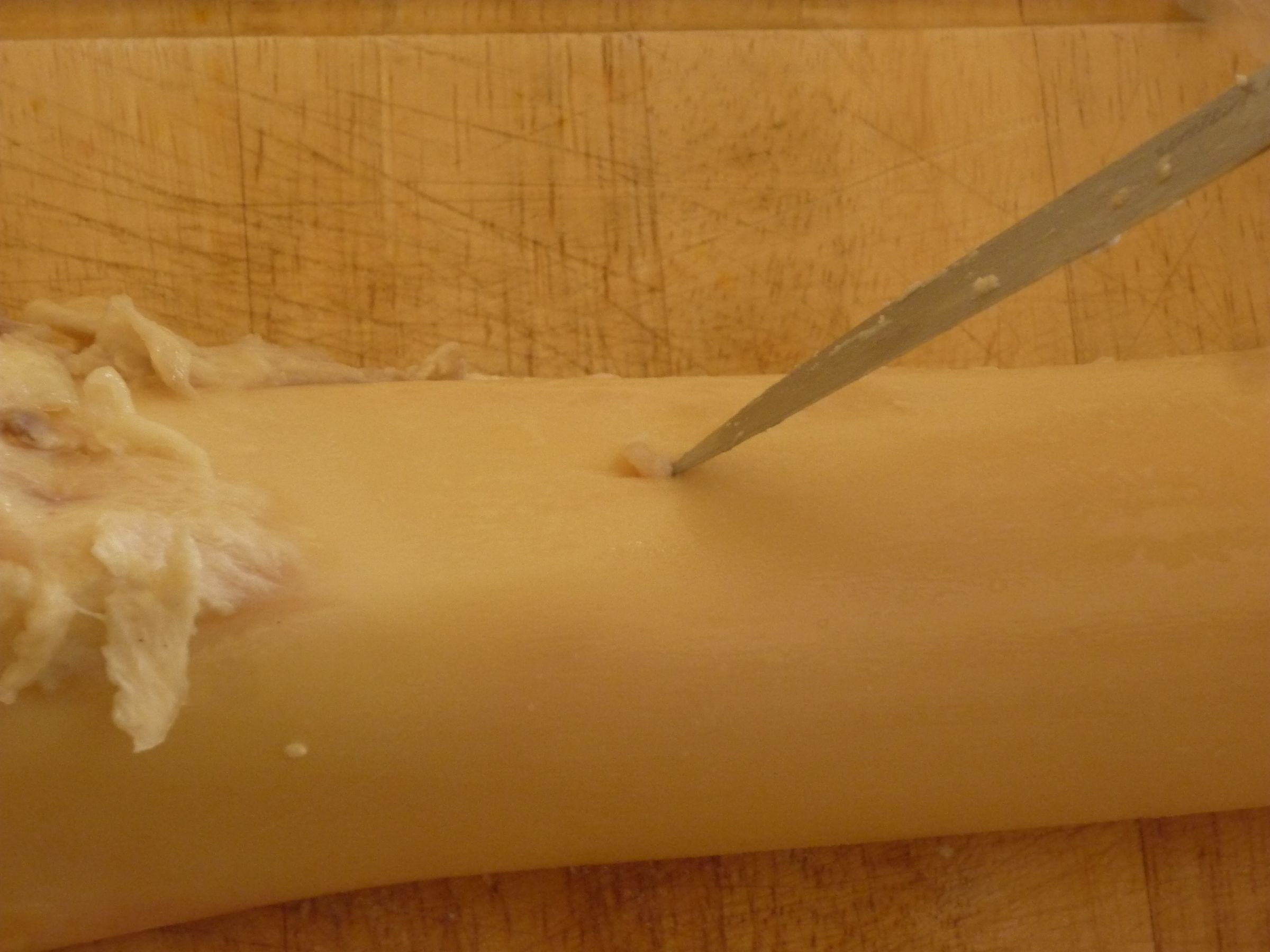 Prepare Bone for Carving : 8 Steps - Instructables