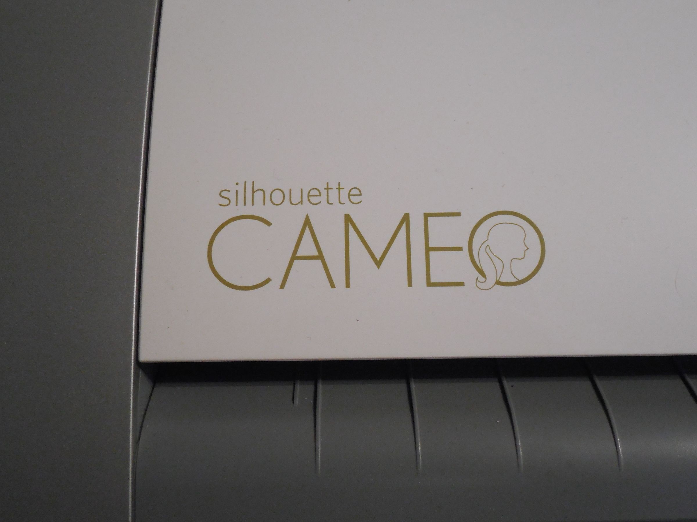 Thermoplastic Paper & Cameo Cutter : 7 Steps (with Pictures ...