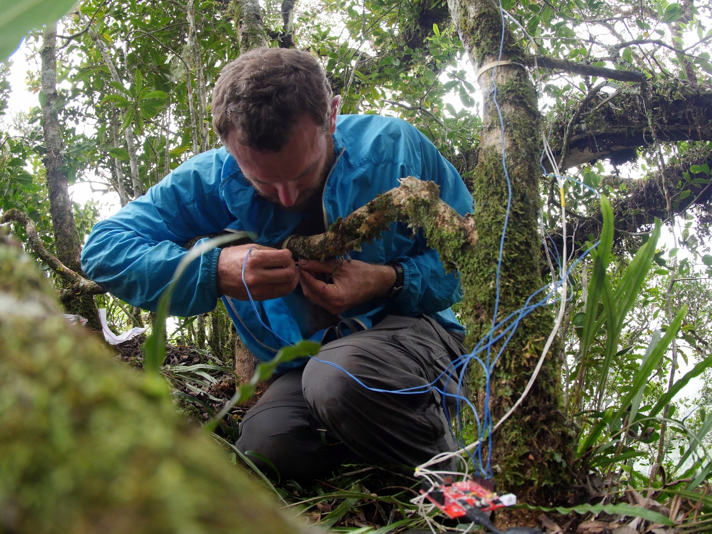 Fiber-Optic Jungle Insect Traffic Taster : 17 Steps (with Pictures ...