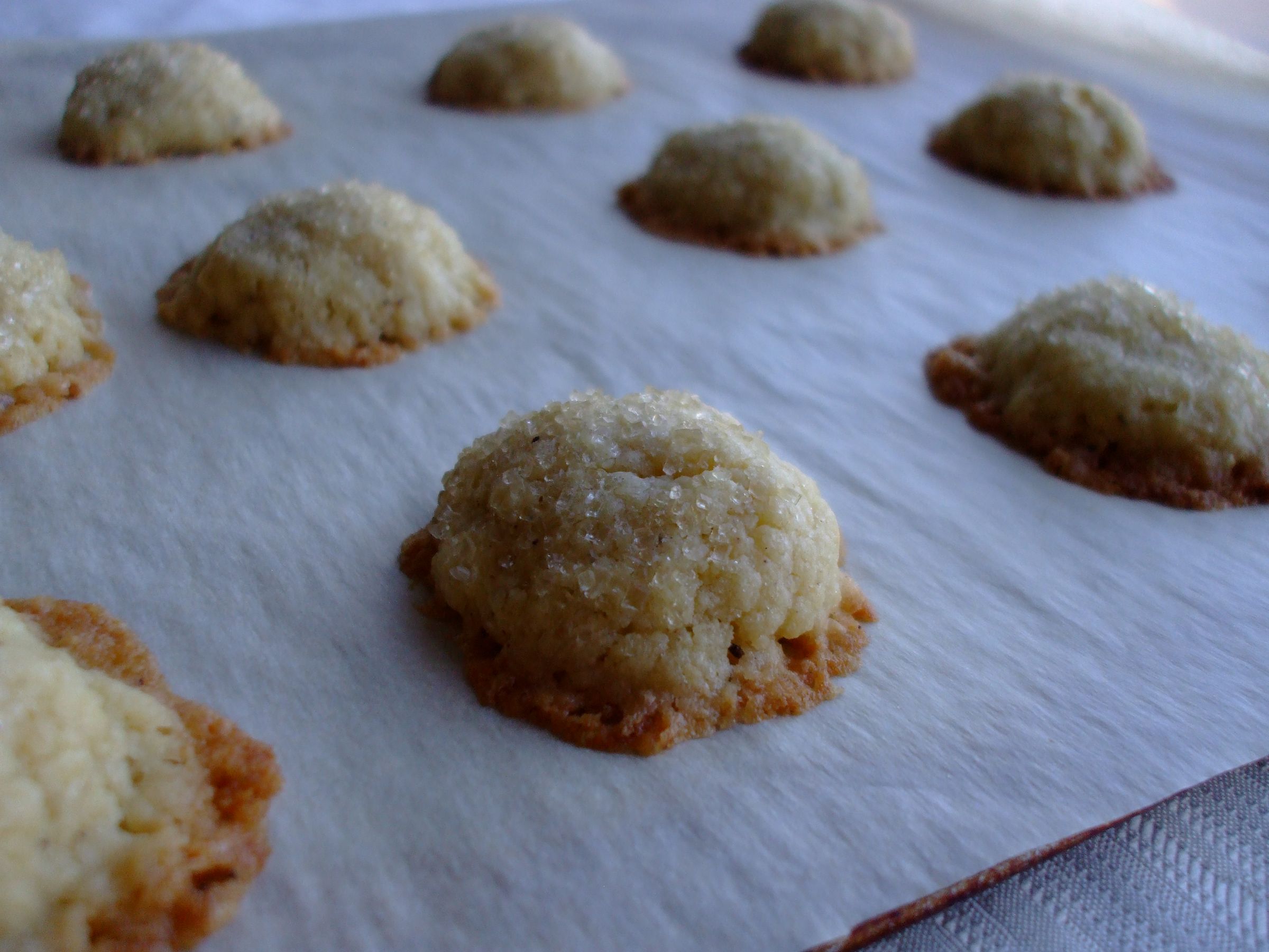Renaissance Cookie Recipes