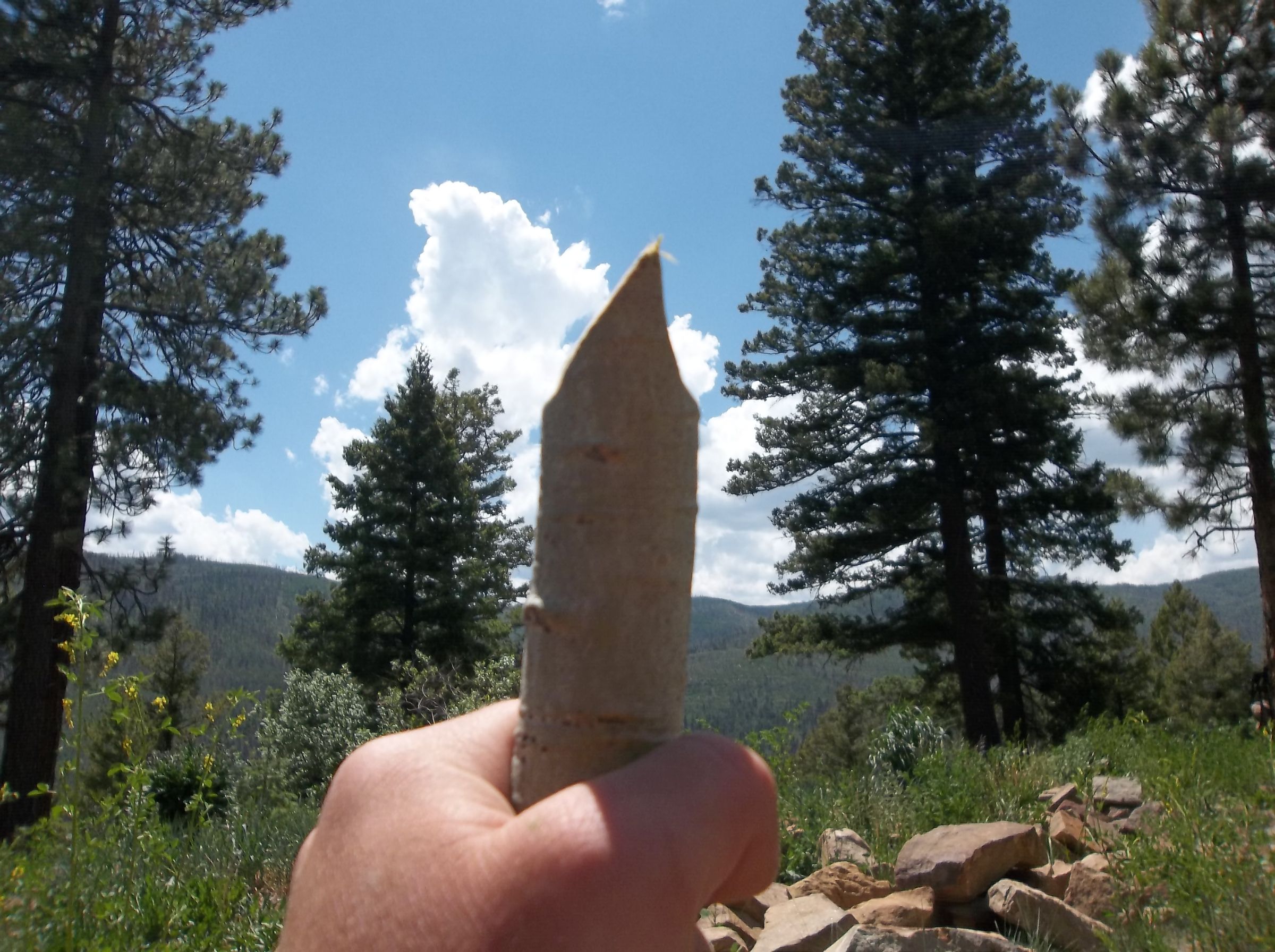 Paiute Deadfall Trap : 4 Steps (with Pictures) - Instructables