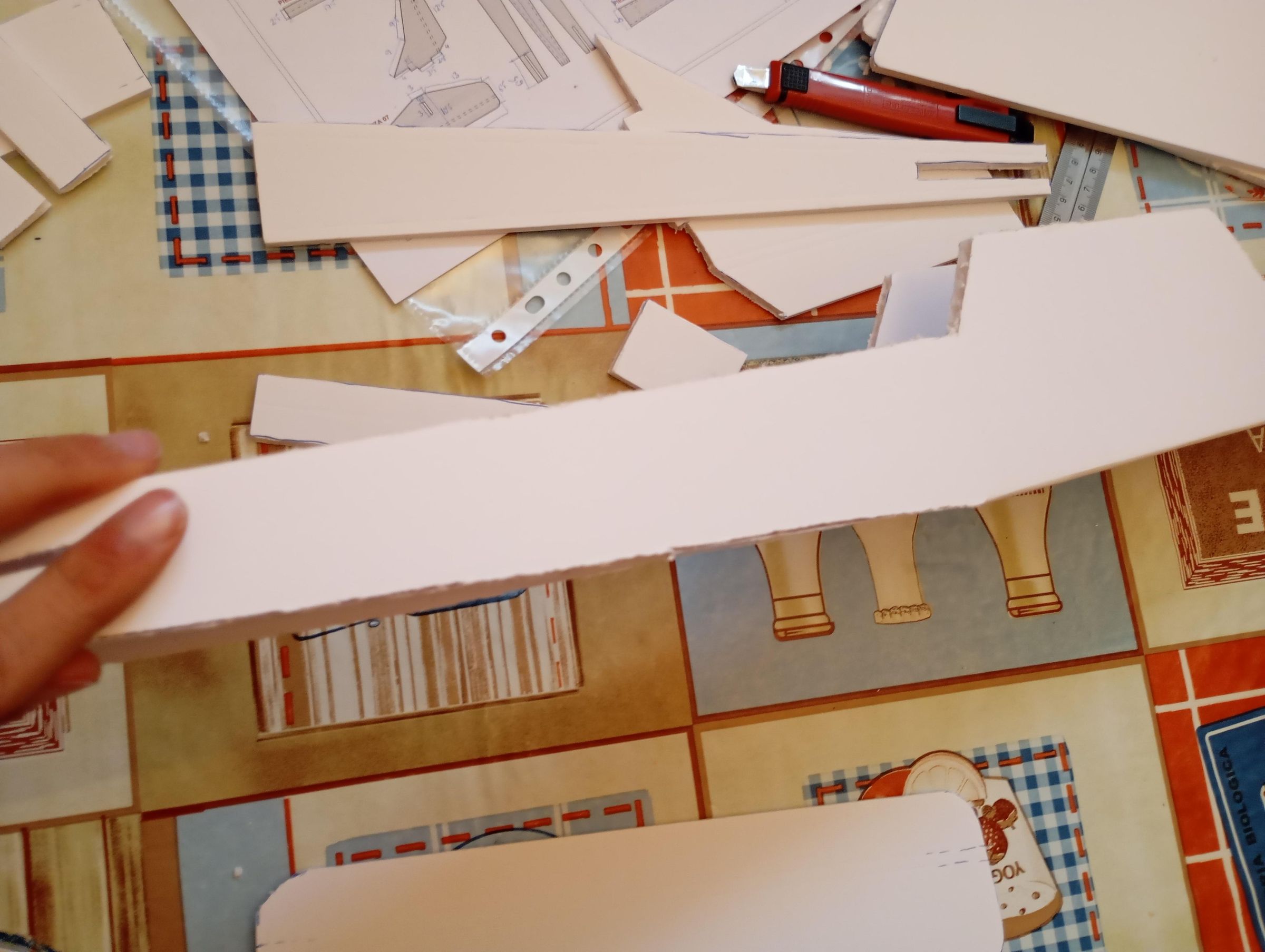 Lightweight Foamboard RC Glider: Build Your Own Remote-Controlled Plane ...