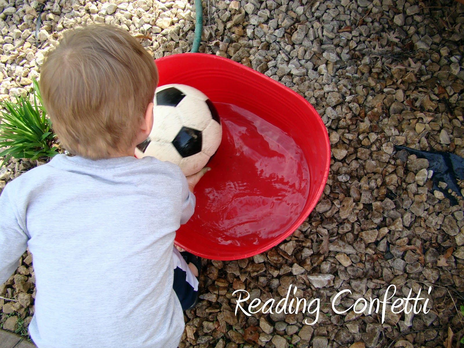 Preschool Physics: Having a Ball With Books : 6 Steps (with Pictures ...