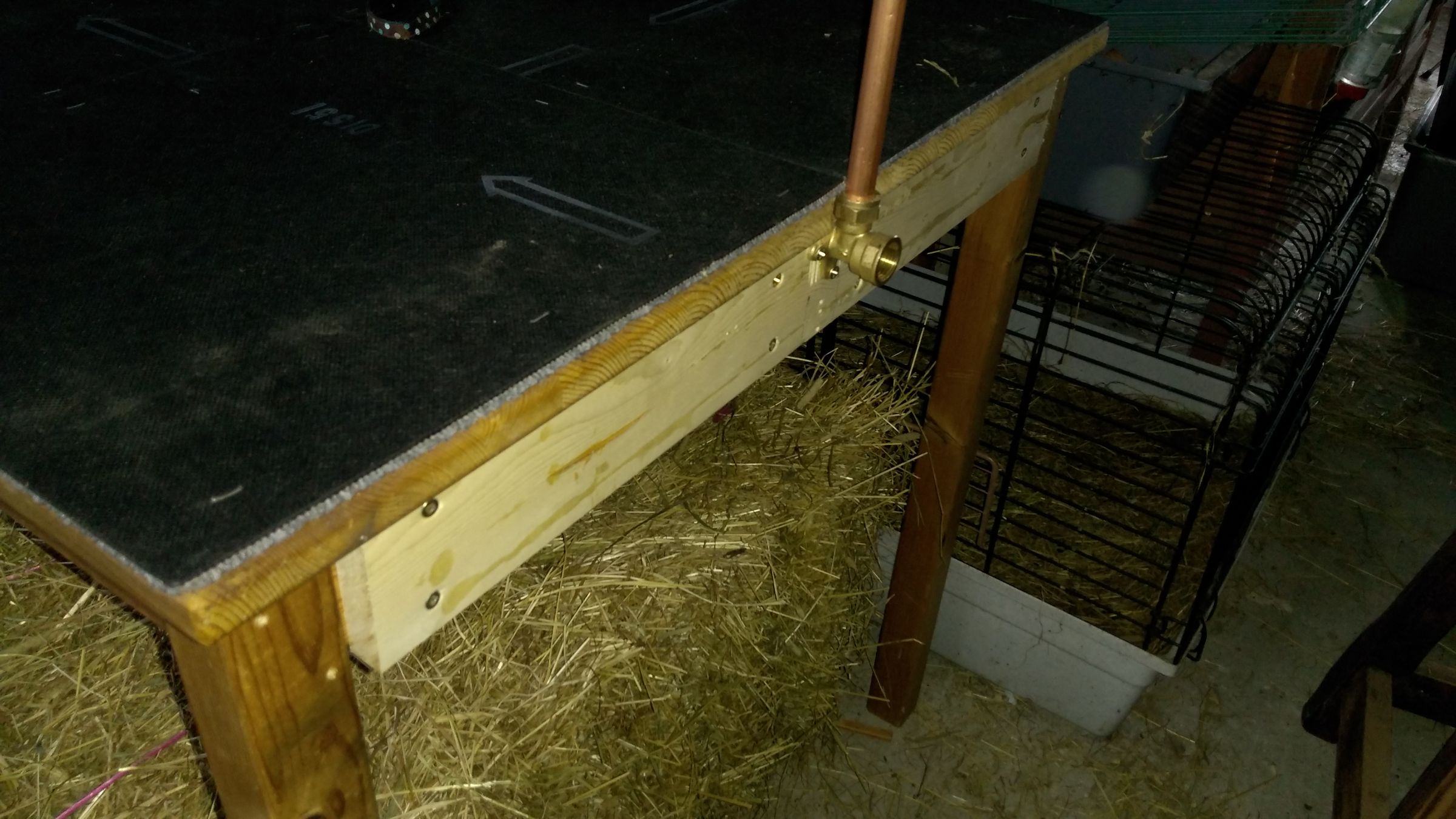 Cheap Small Dog Grooming Table : 5 Steps (with Pictures) - Instructables