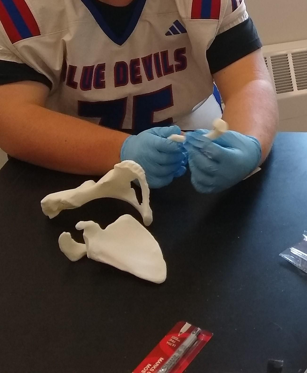 Forensic Anthropology With 3D Printed Bones : 8 Steps (with Pictures ...