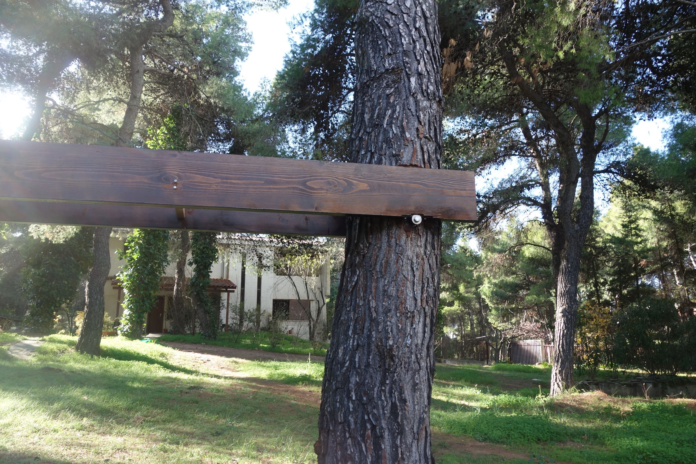 Simple Tree Platform Plans Treehouse On Two Trees : 22 Steps (with