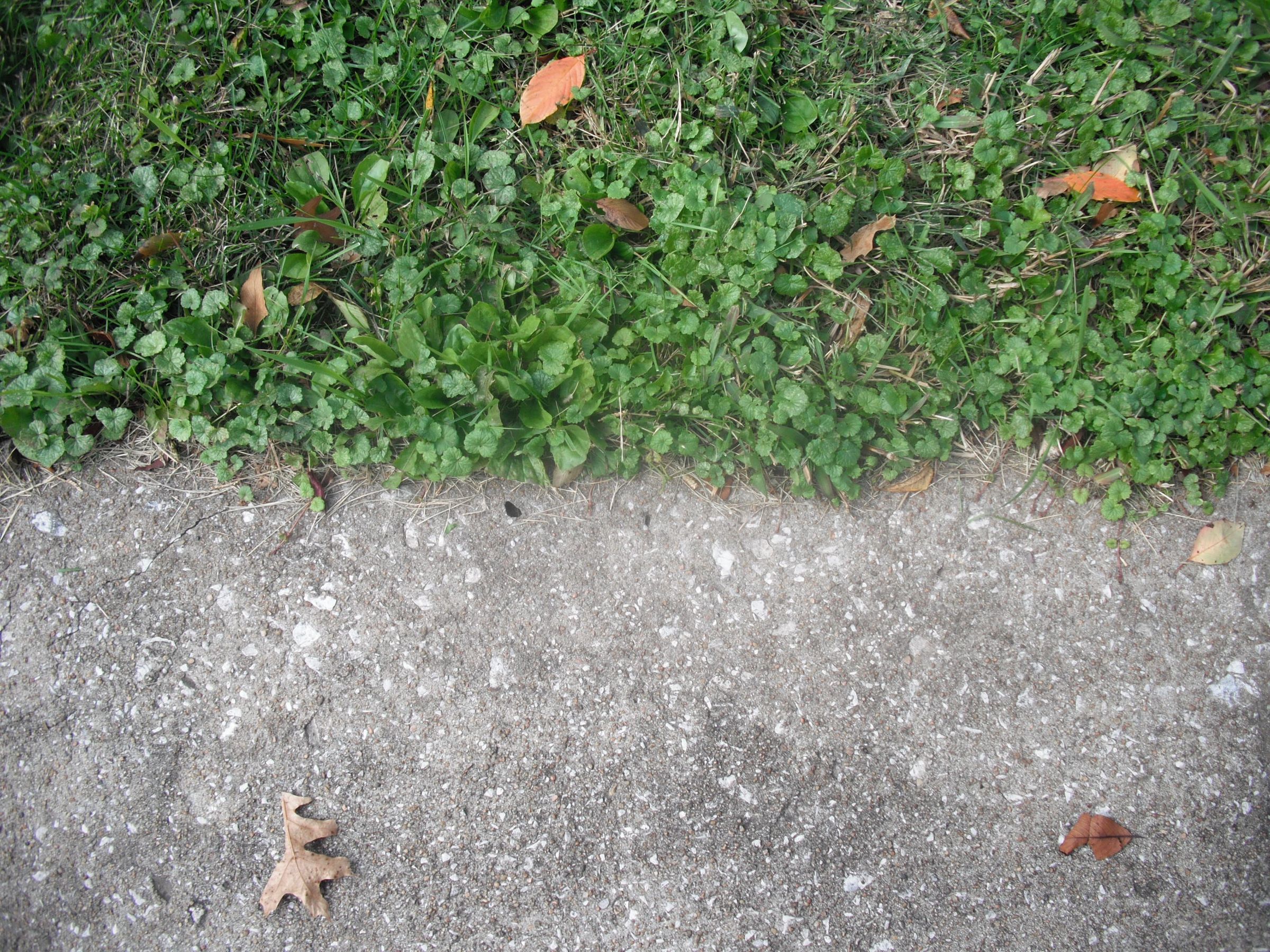 Backyard Bocce : 5 Steps (with Pictures) - Instructables