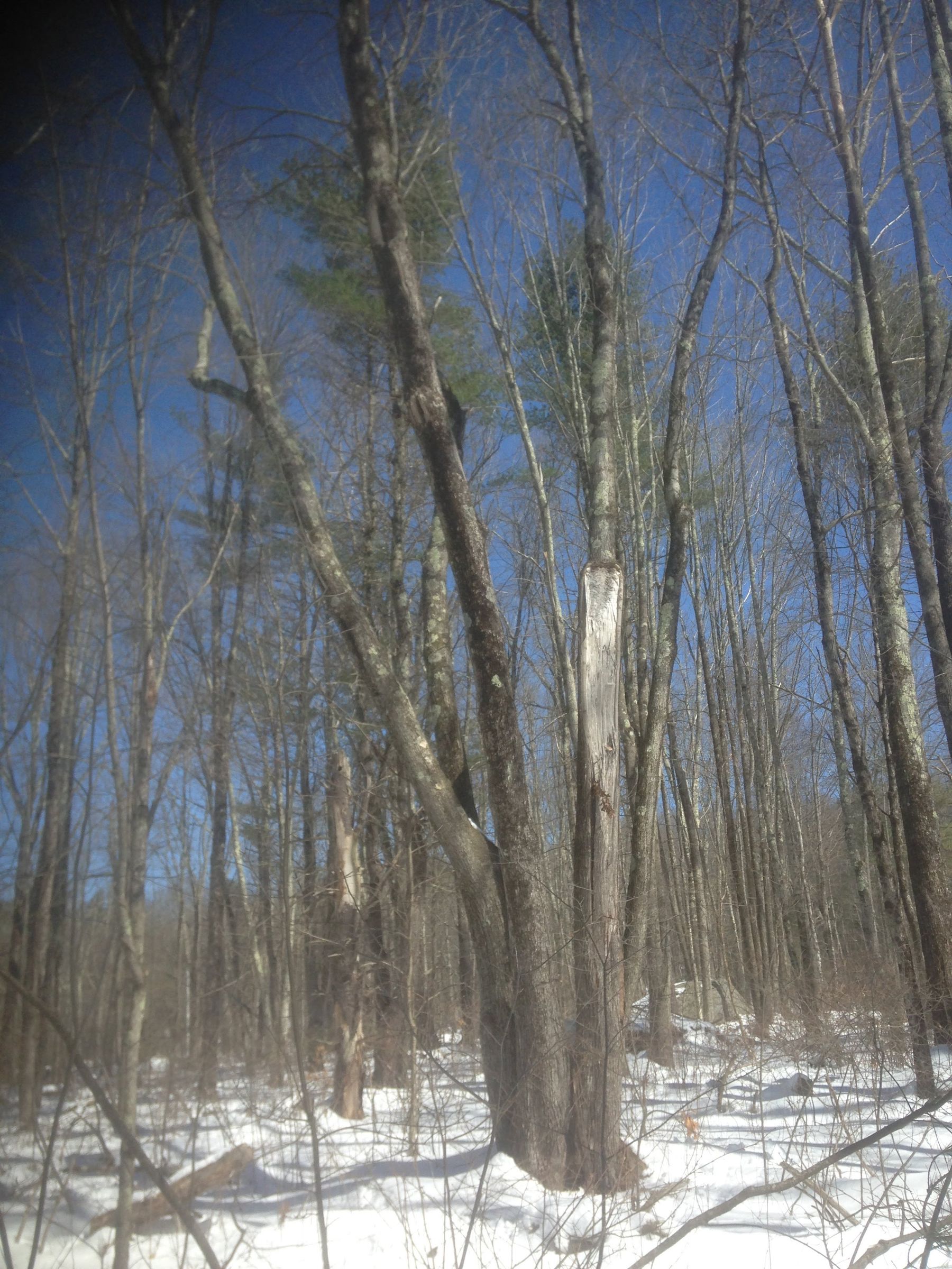 Multi Level Tree House From Recycled Materials : 10 Steps (with ...