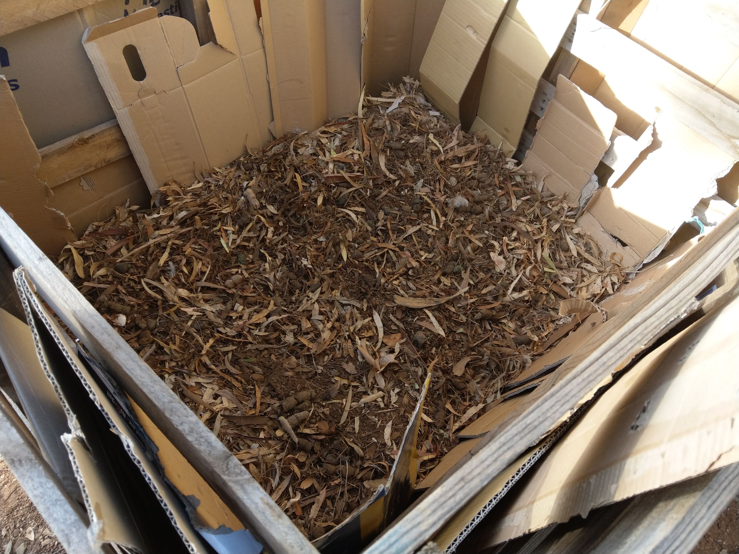The Trash Garden (a Zero Cost, Easy Raised Bed) : 8 Steps - Instructables