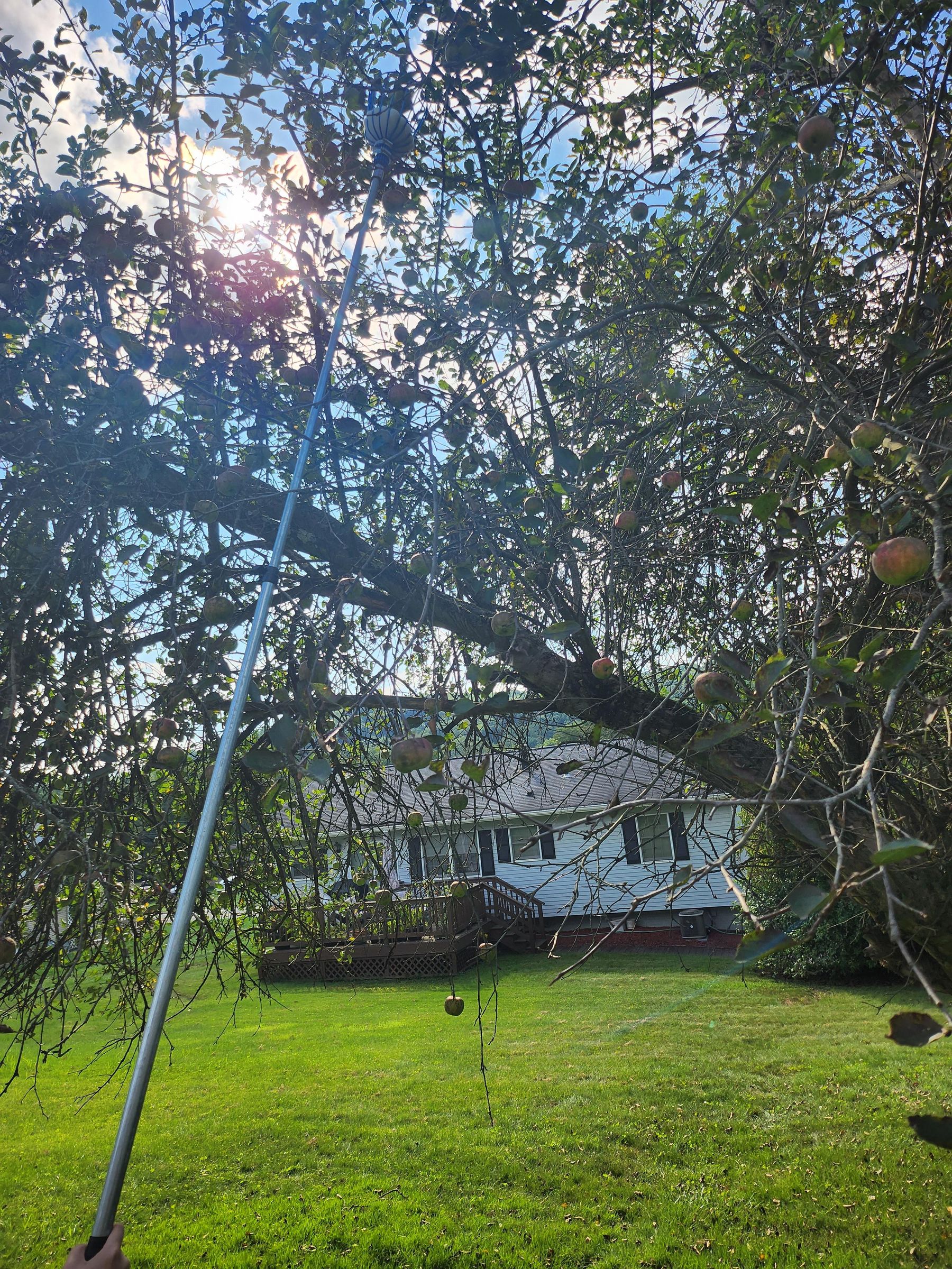 DIY Fruit Picker Pole Made From EMT Conduit : 6 Steps - Instructables