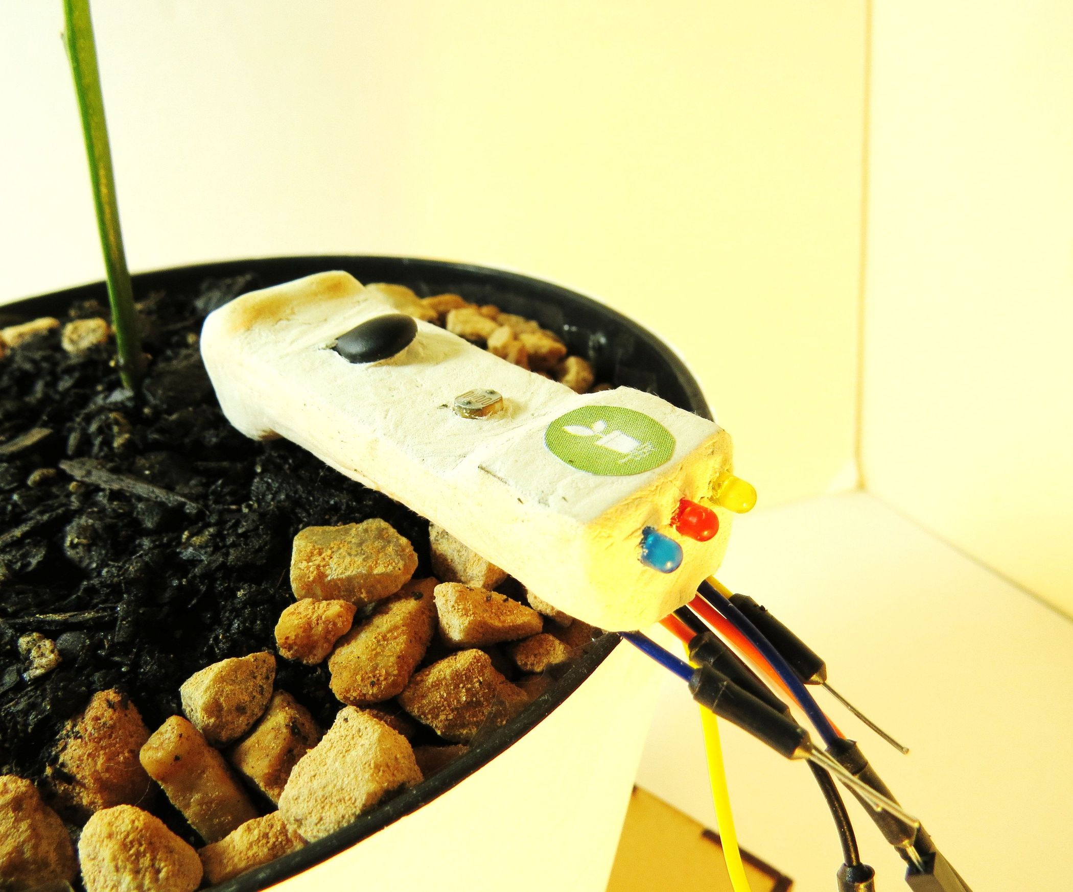 Sensory Device for "The Plant Doctor - Plant Care Instruments" : 3 ...