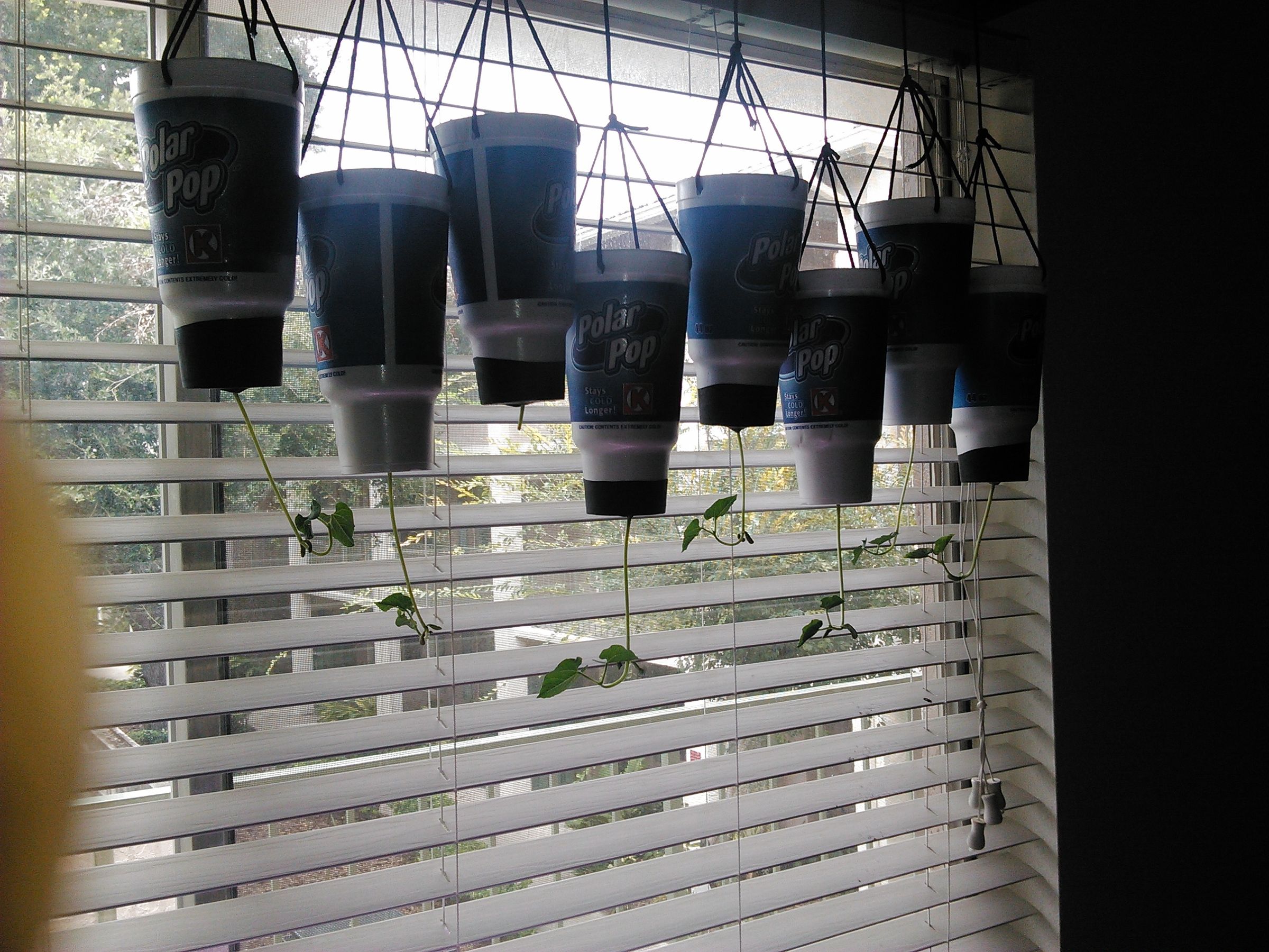 Upcycle Ur Stuff Upside Down Planter : 6 Steps - Instructables