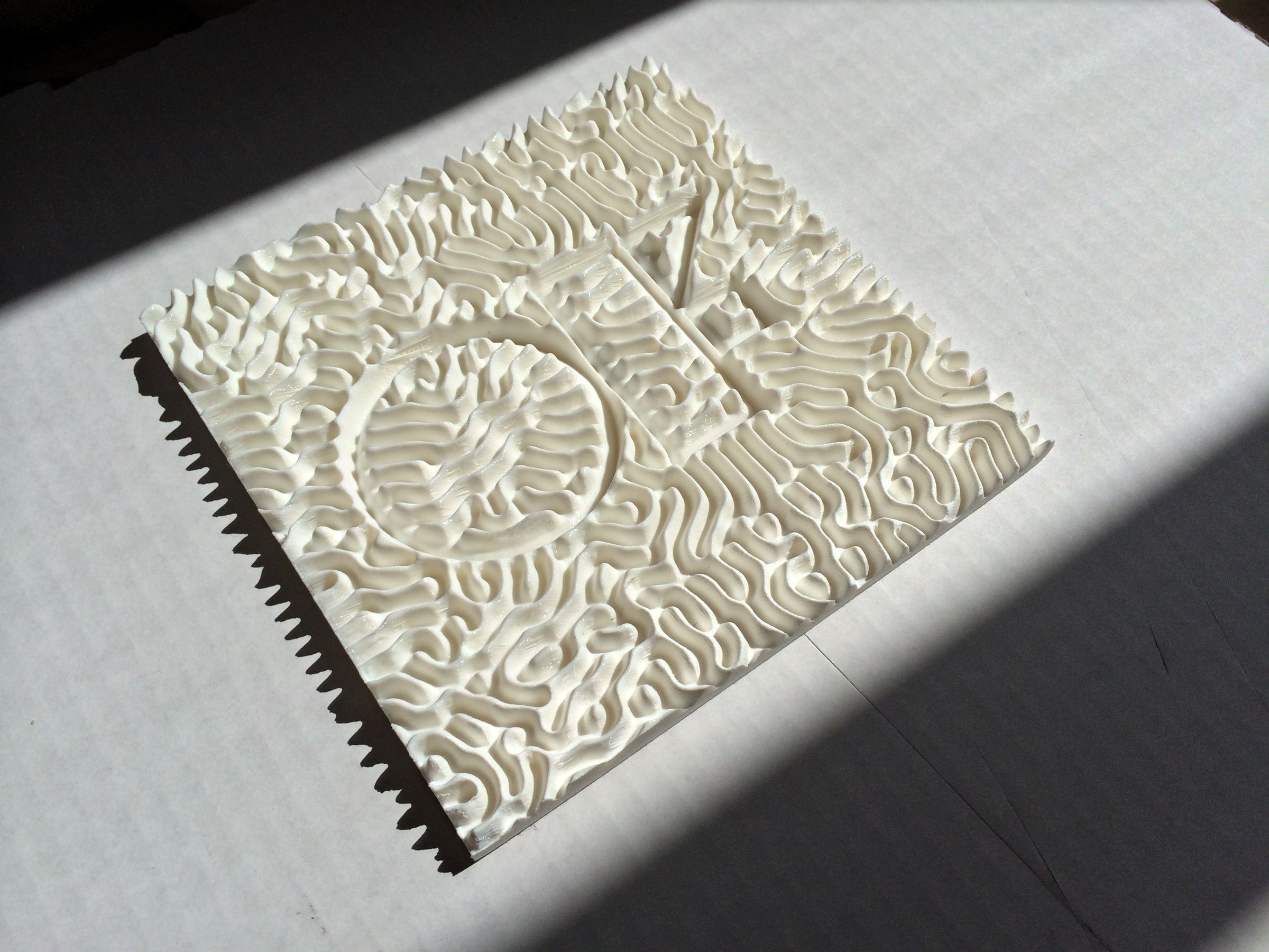 3D Printed Reaction Diffusion Patterns : 4 Steps (with Pictures ...
