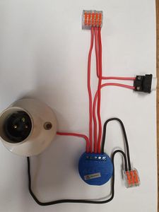 Shelly 1 - a Light Switch & Run Down Timer. : 3 Steps - Instructables