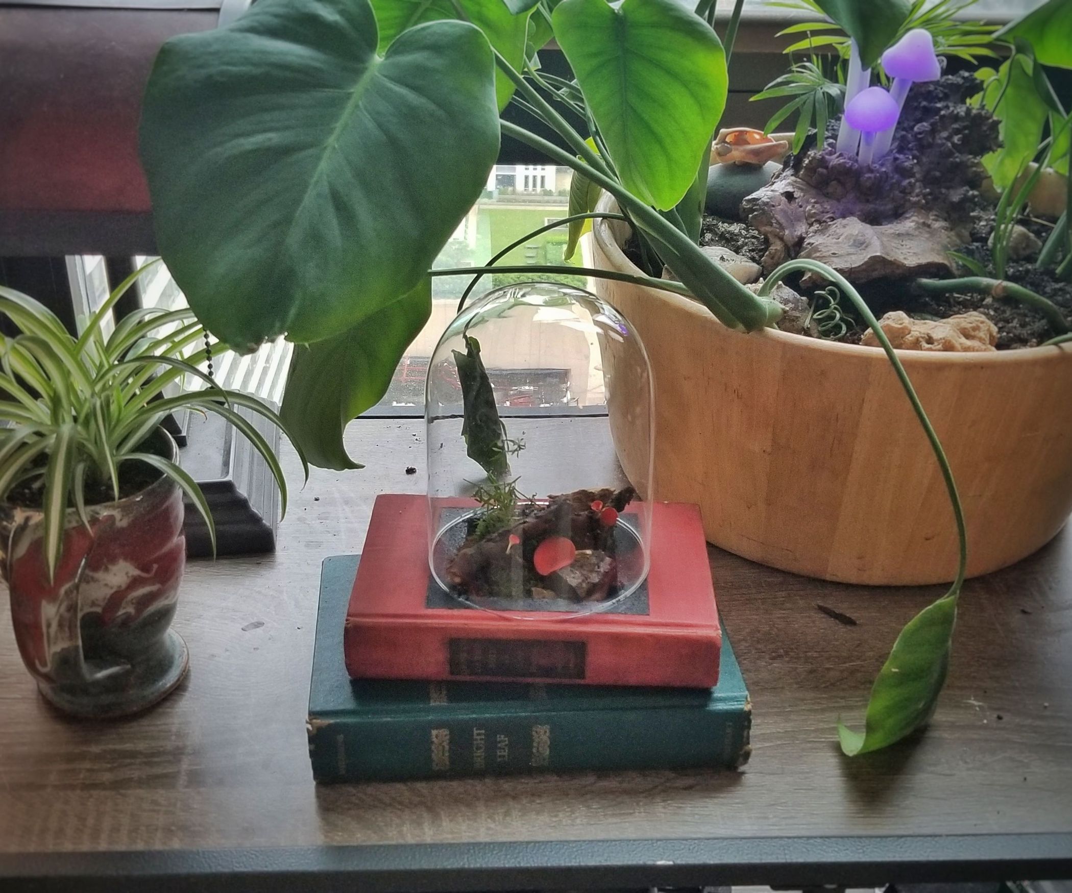 Book Terrarium Planter : 13 Steps (with Pictures) - Instructables