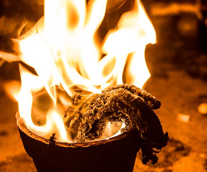 Science Experiment: the Fire Snake - Instructables