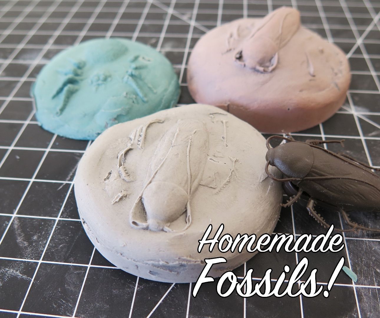 Homemade Fossils! : 5 Steps (with Pictures) - Instructables