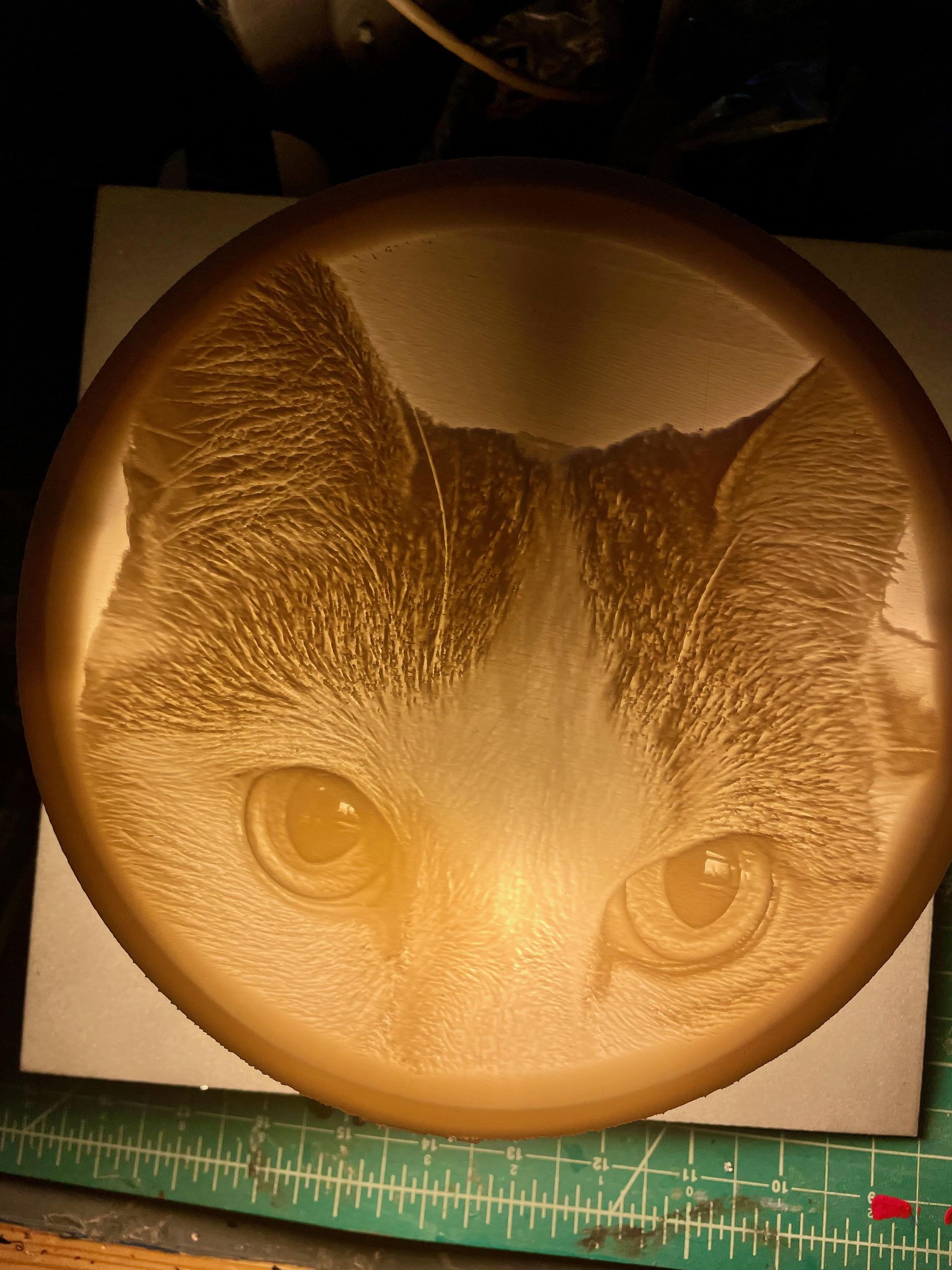 3D Printed Pet Lights : 7 Steps (with Pictures) - Instructables