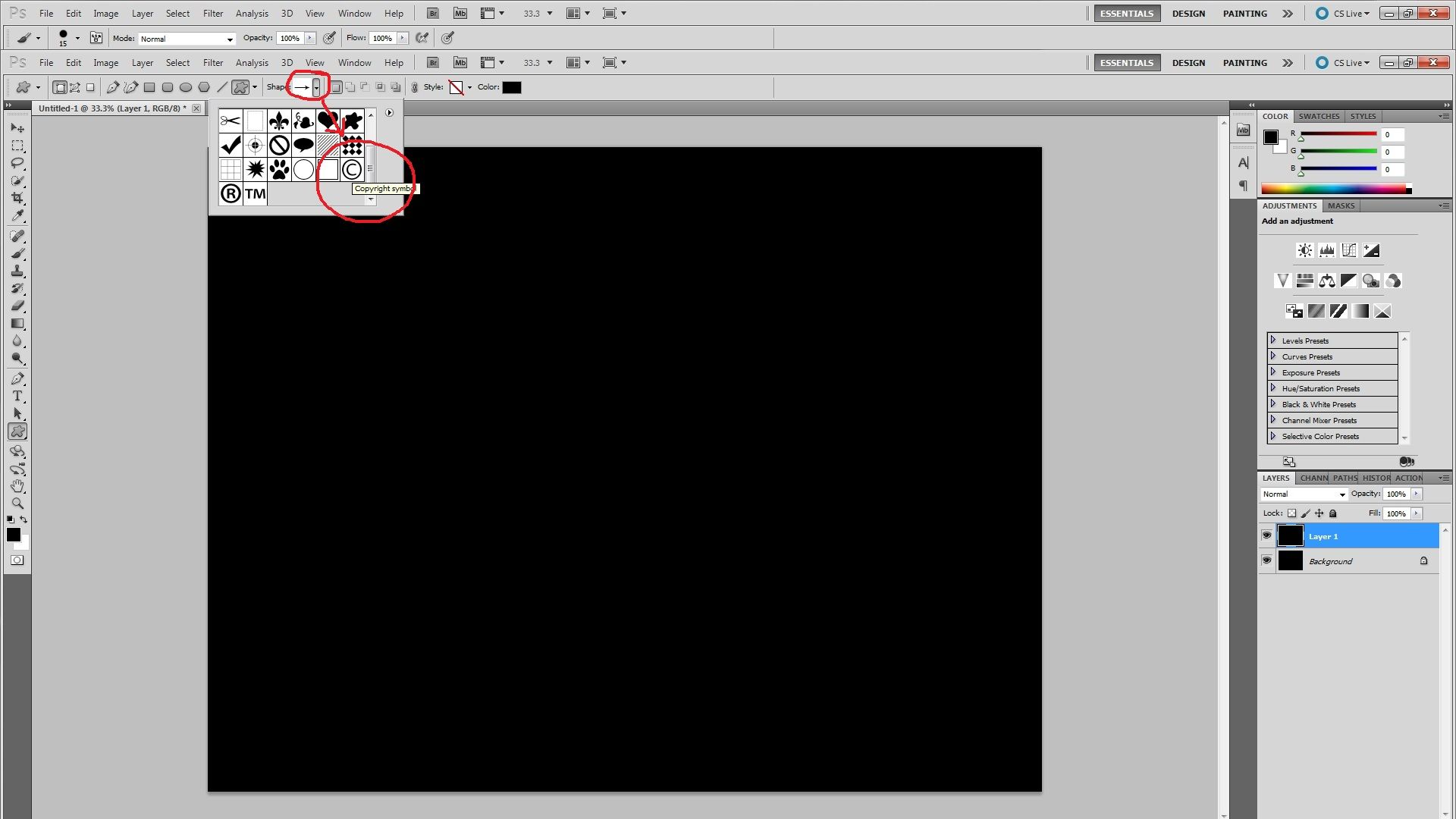 Creating Watermarks in Photoshop : 12 Steps - Instructables