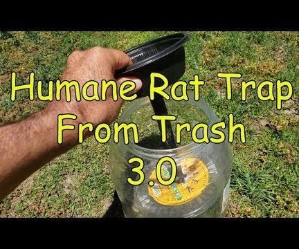Humane Live Rat Trap From Trash : 4 Steps - Instructables