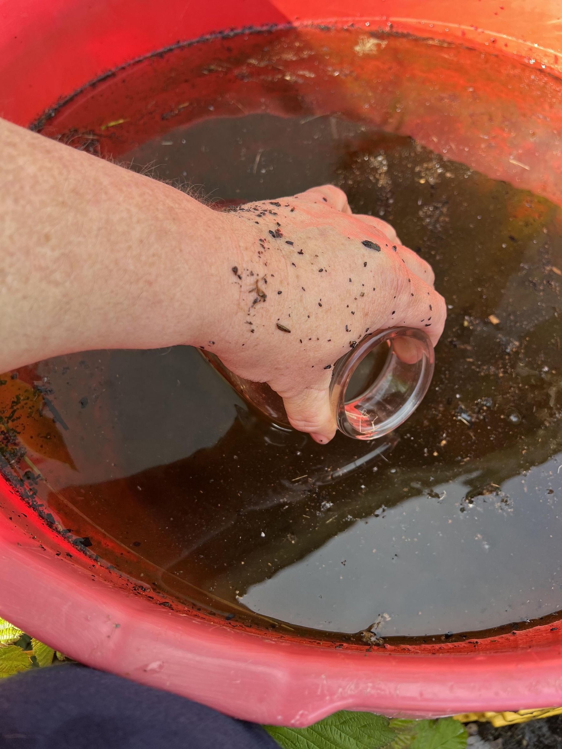 Manure Tea or Compost Tea : 4 Steps - Instructables