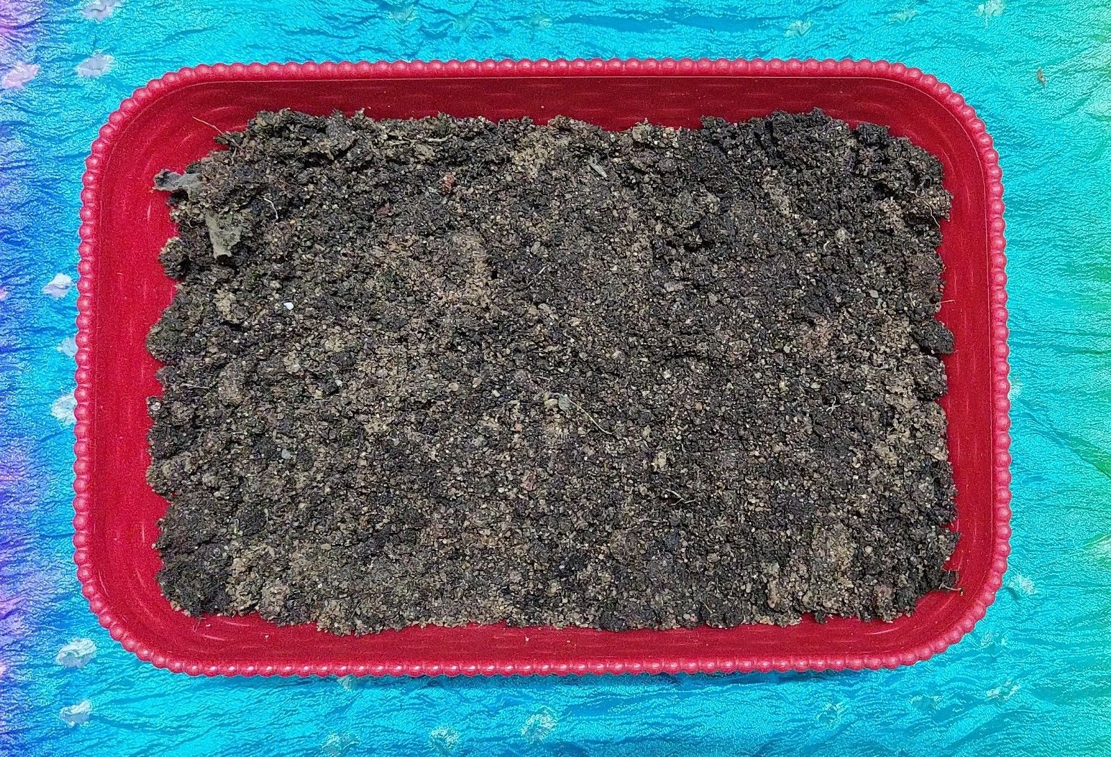 Micro Greens - Perfect for Indoors : 22 Steps (with Pictures ...