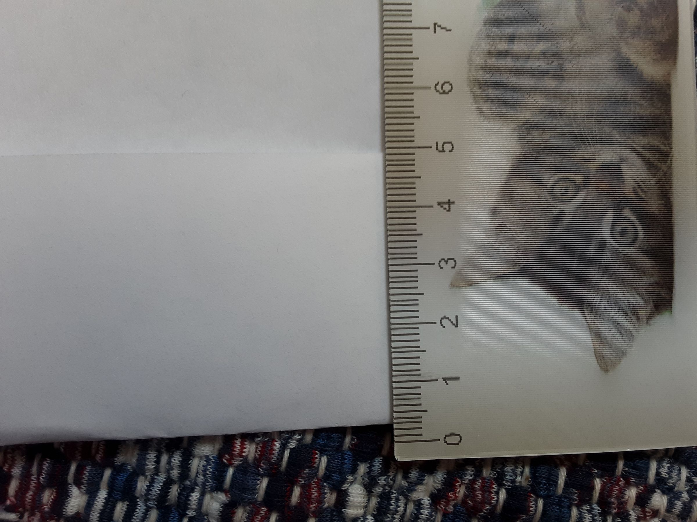 Paper Origami Luke Skywalker With Lightsaber : 3 Steps - Instructables