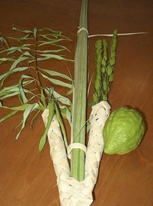 Lulav Holder : 20 Steps (with Pictures) - Instructables