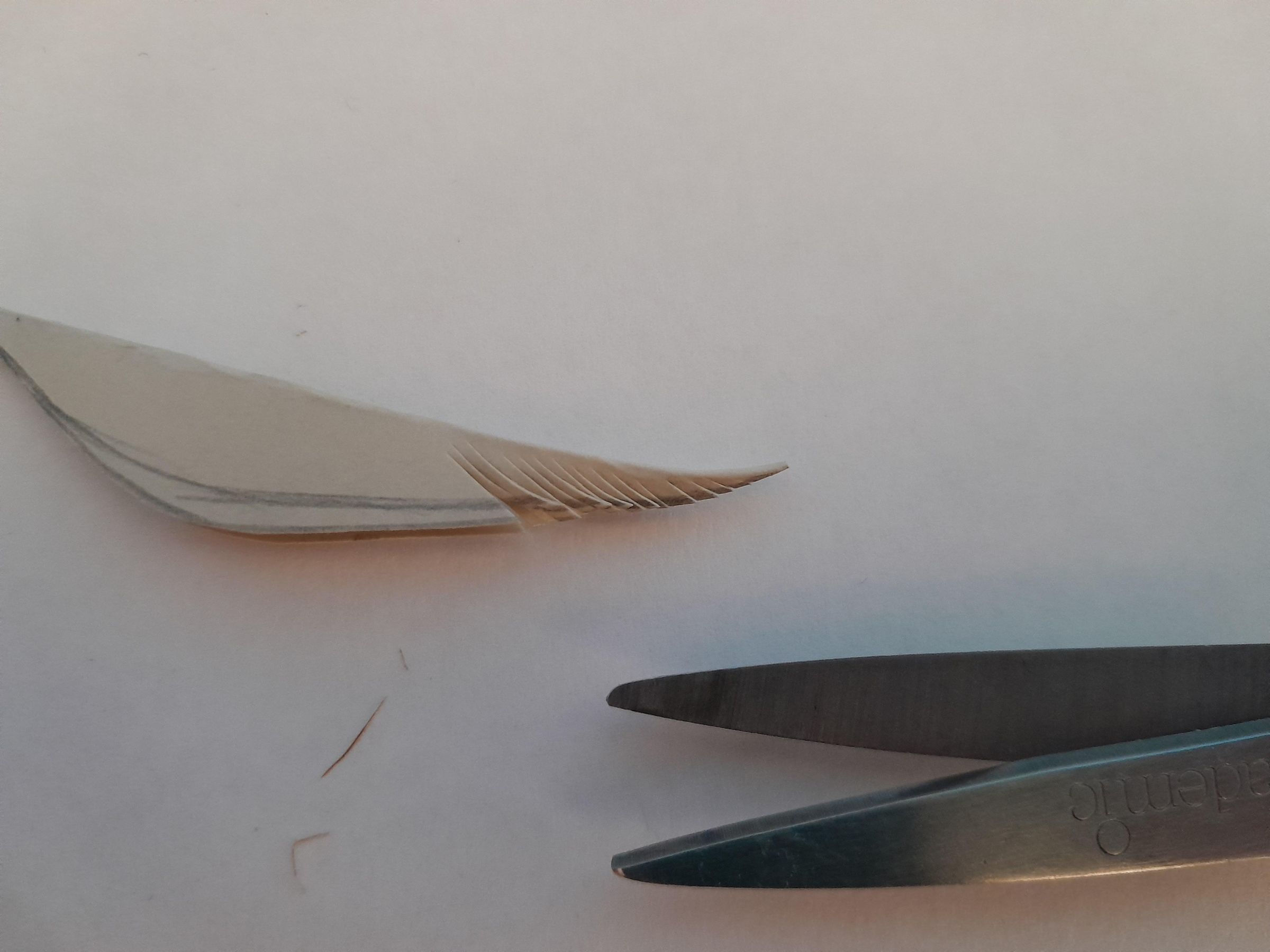 Constructing Paper Feathers : 6 Steps - Instructables