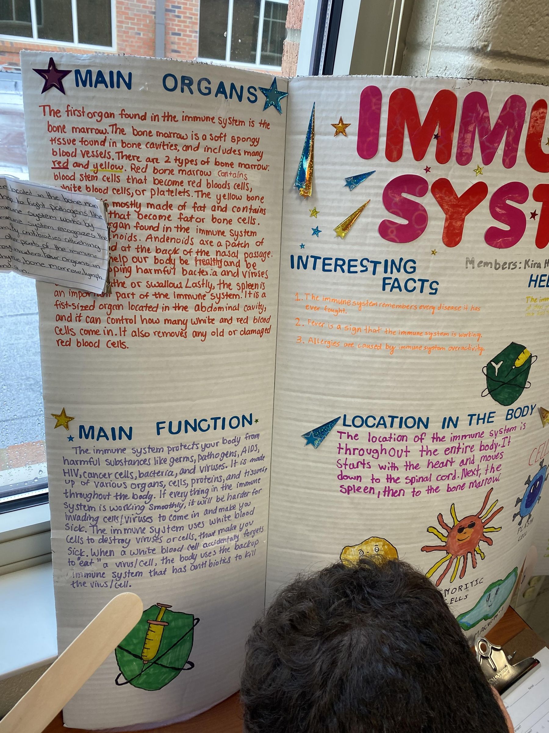 Human Body Museum PBL Unit Plan : 5 Steps (with Pictures) - Instructables