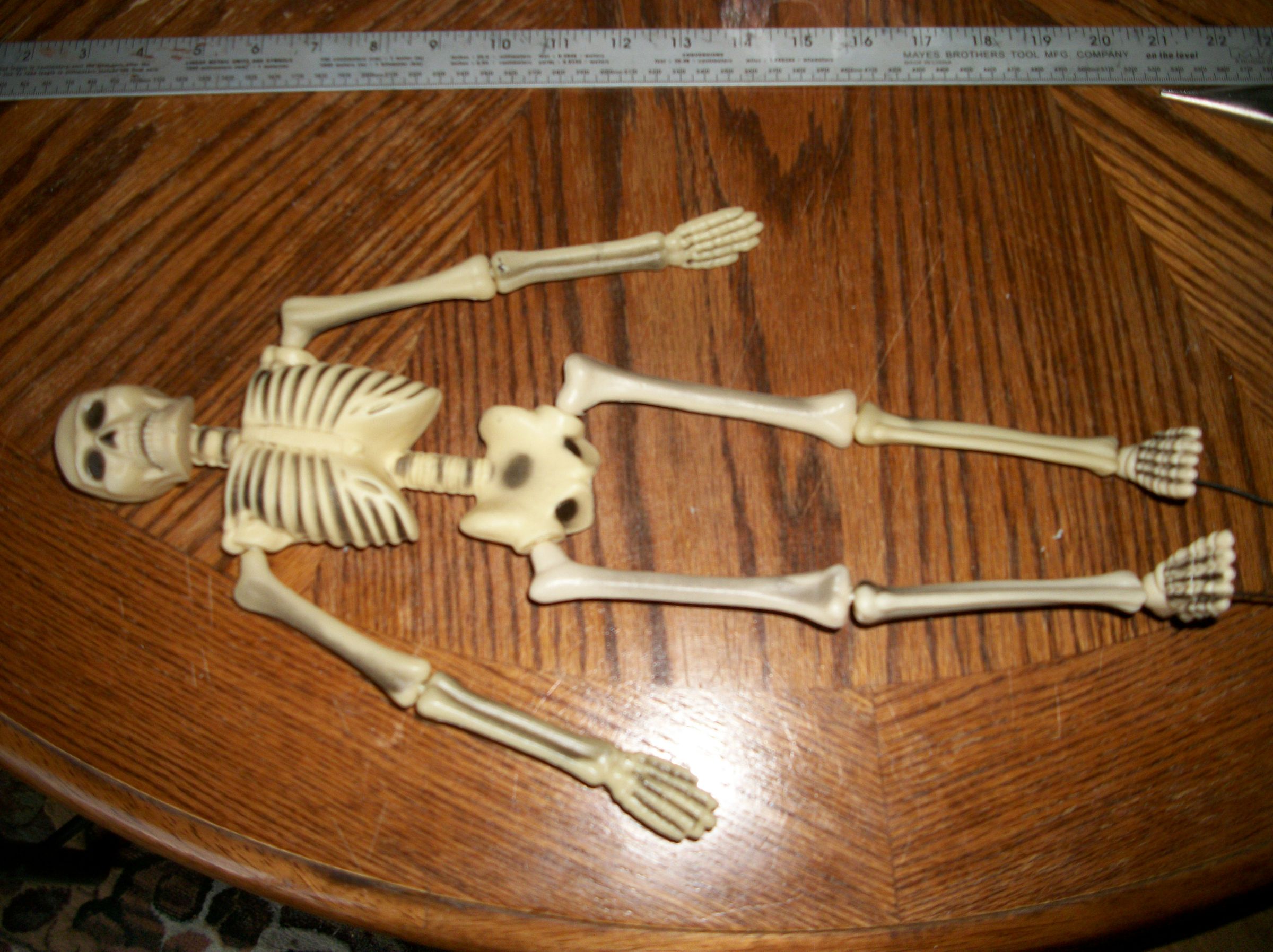 Posable Skelly : 5 Steps (with Pictures) - Instructables