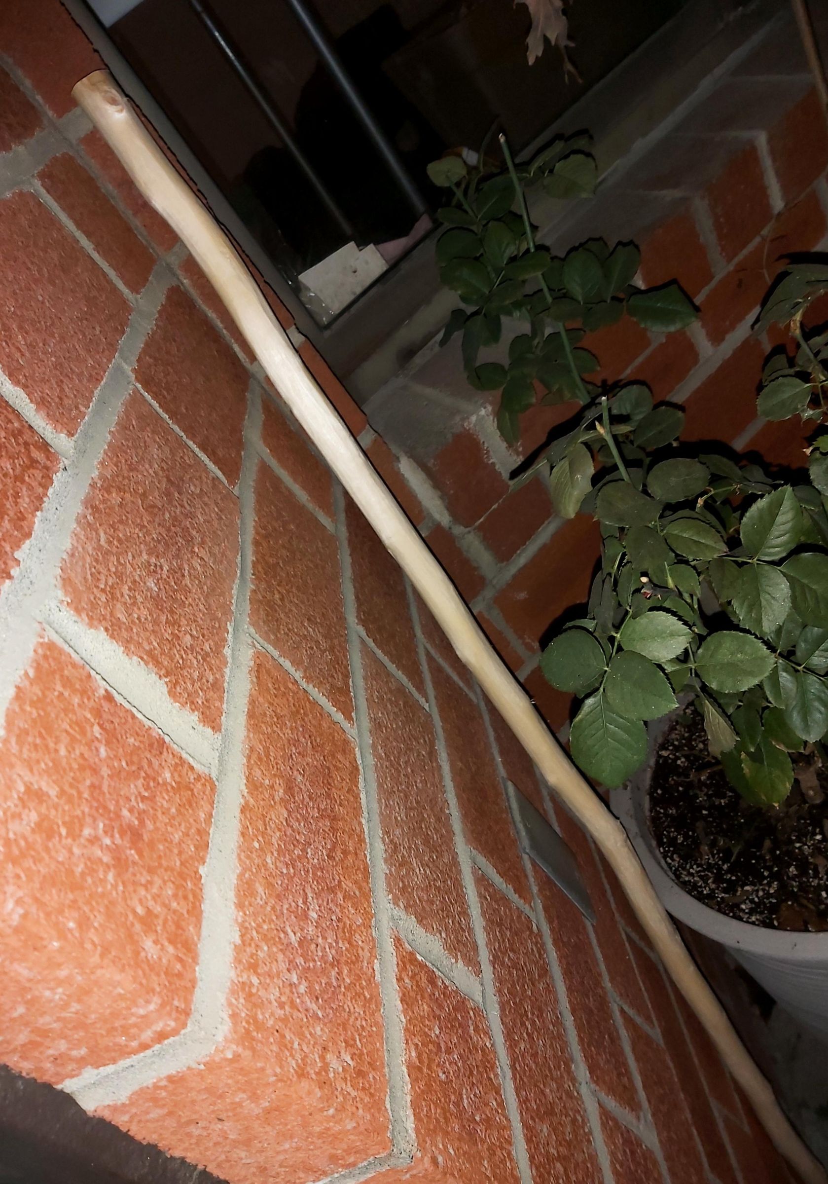 Carve a Staff / Walking Stick : 16 Steps (with Pictures) - Instructables