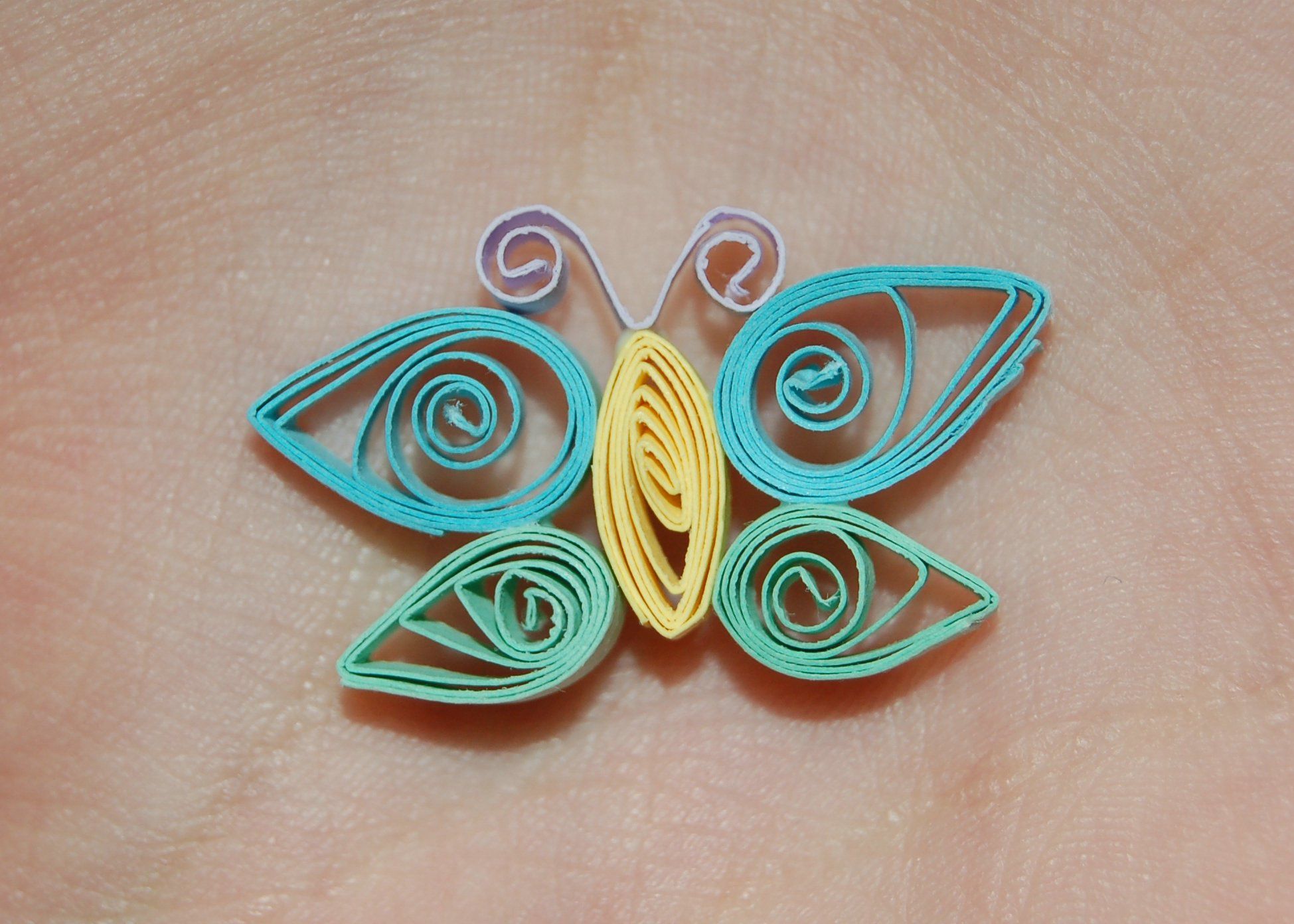 How to Quill a Butterfly : 11 Steps (with Pictures) - Instructables