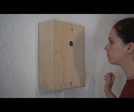 Virtual Peephole : 4 Steps (with Pictures) - Instructables