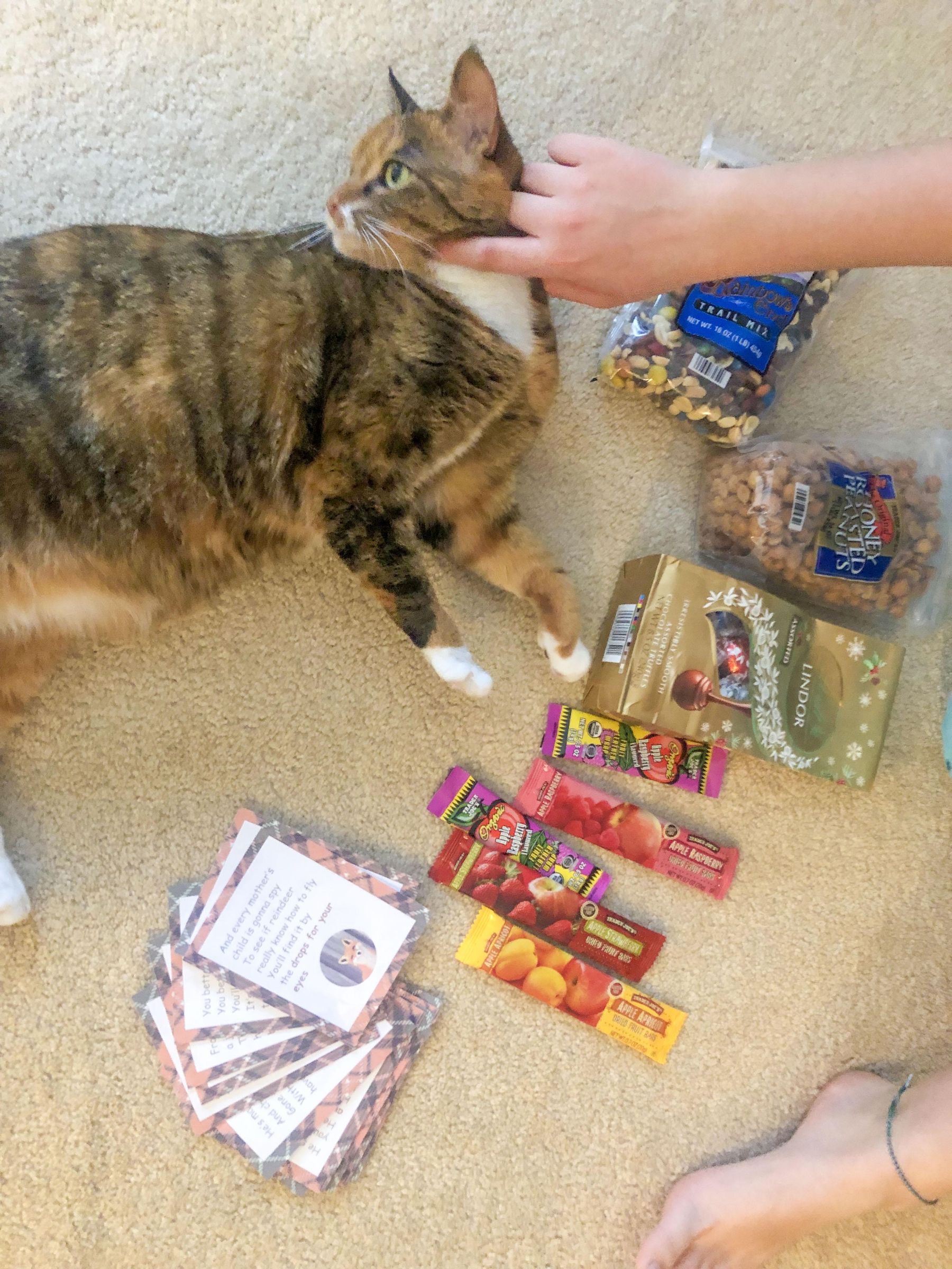 Holiday Scavenger Hunt! : 10 Steps (with Pictures) - Instructables