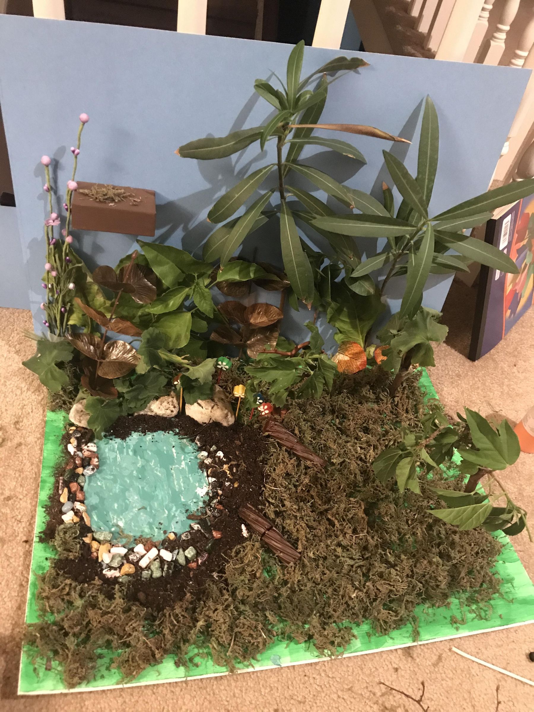 Tropical Rainforest Ecosystem Project